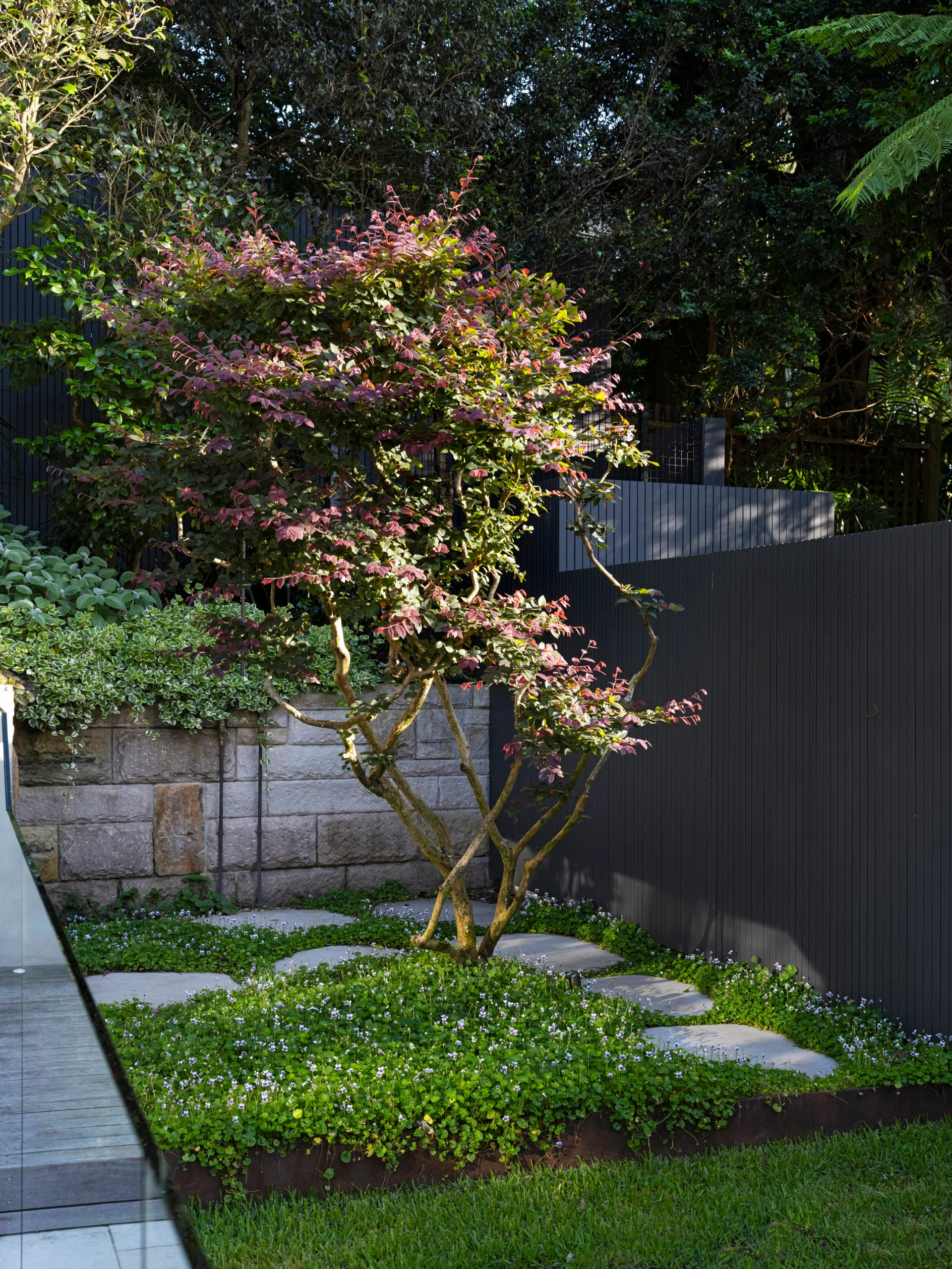 A Lush, Multi-Layered Garden In Sydney’s East | Homes To Love