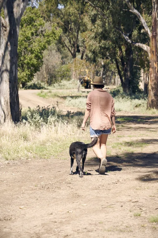 The Story Behind Regenerative Pig Farm, Bundarra | Country Style