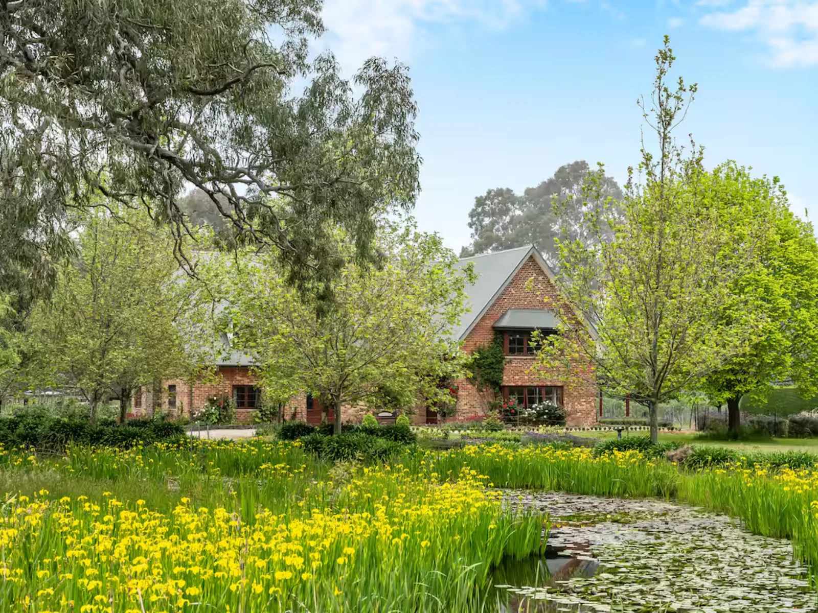 Best Airbnbs in Adelaide 2025: chic stays to rustic holiday rentals