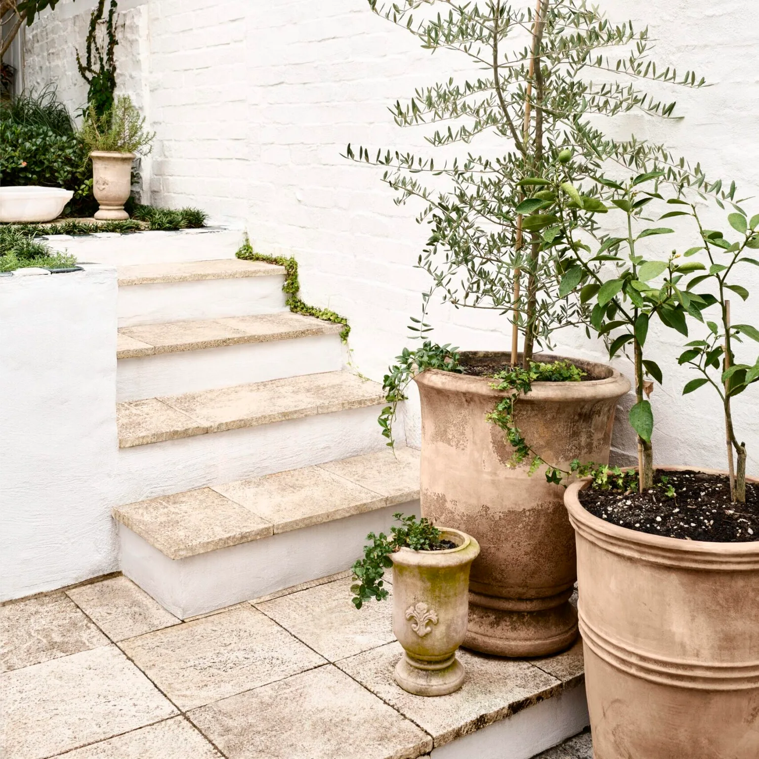 Garden Designer Nathan White Shares His Homegrown Wisdom | Homes To Love