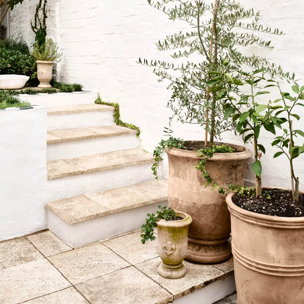 Garden Designer Nathan White Shares His Homegrown Wisdom | Homes To Love