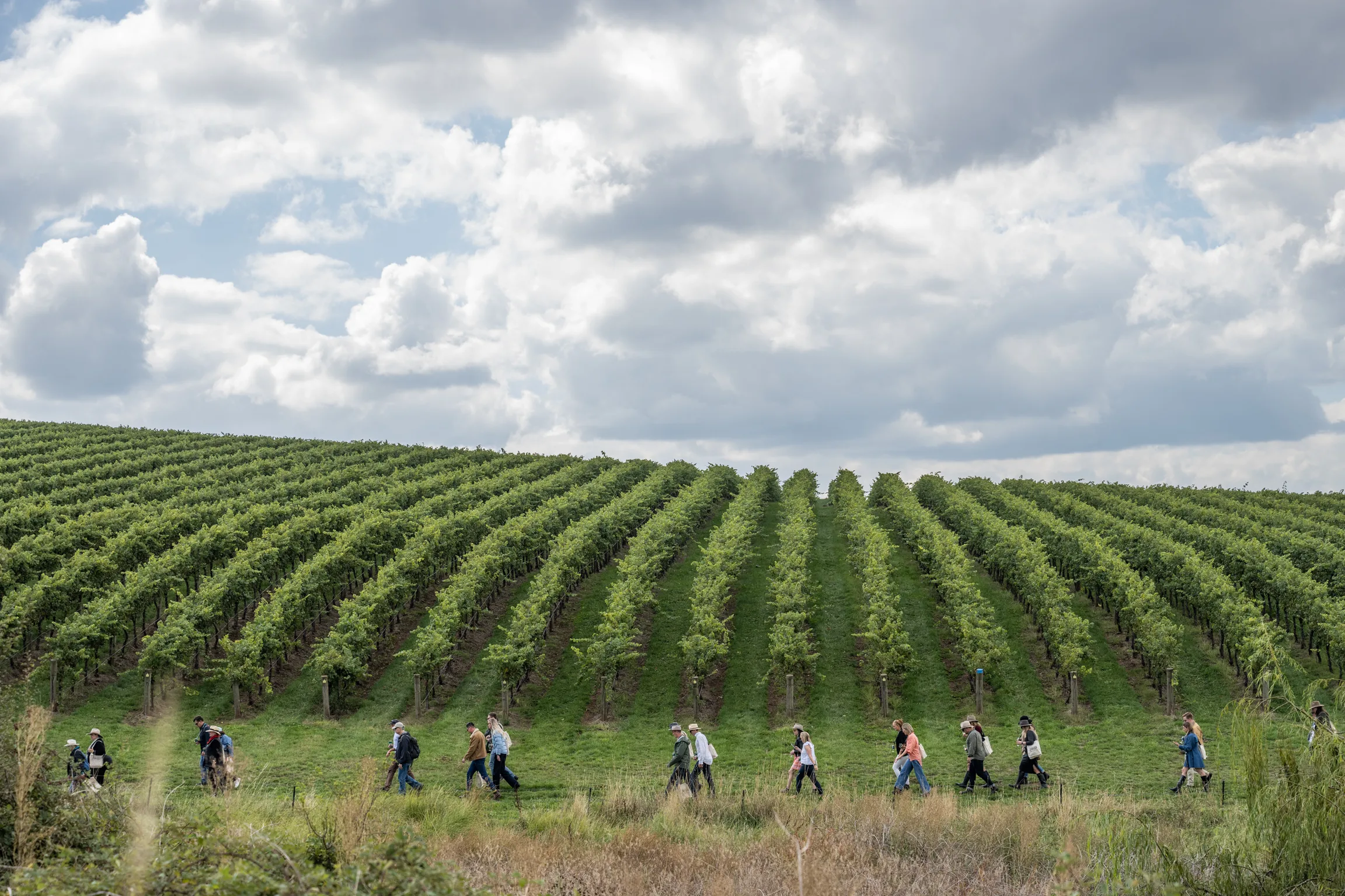 What's On At Orange FOOD Week: The Top Events To Book Now | Homes To Love