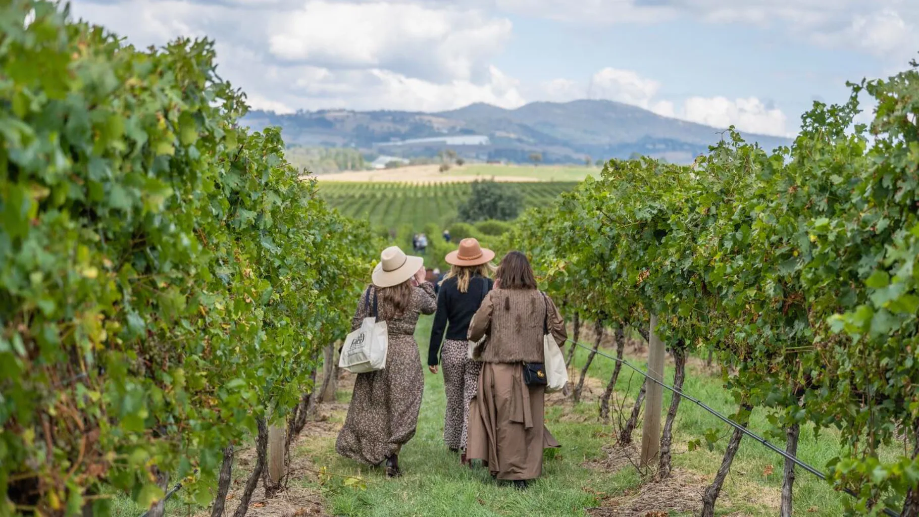 What's On At Orange FOOD Week: The Top Events To Book Now | Homes To Love