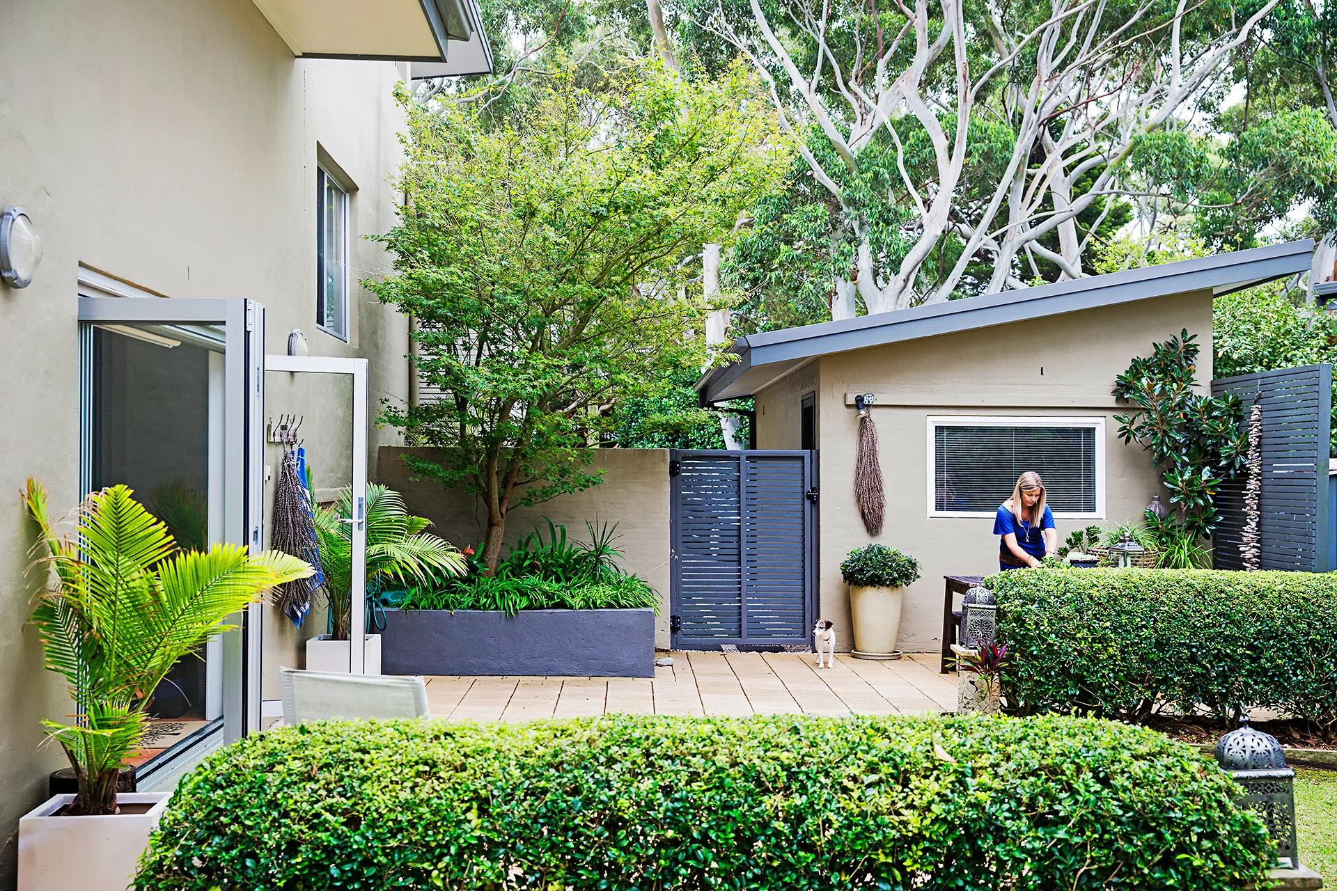 A Balinese-inspired garden in Sydney's Northern Beaches
