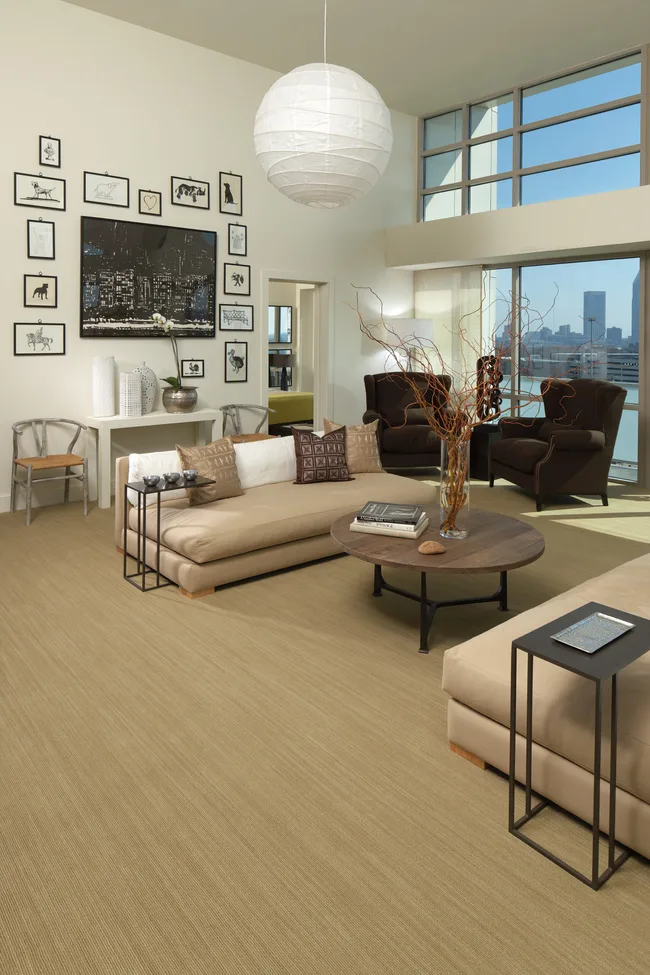 Family-Friendly Carpets for a Safe and Cozy Home