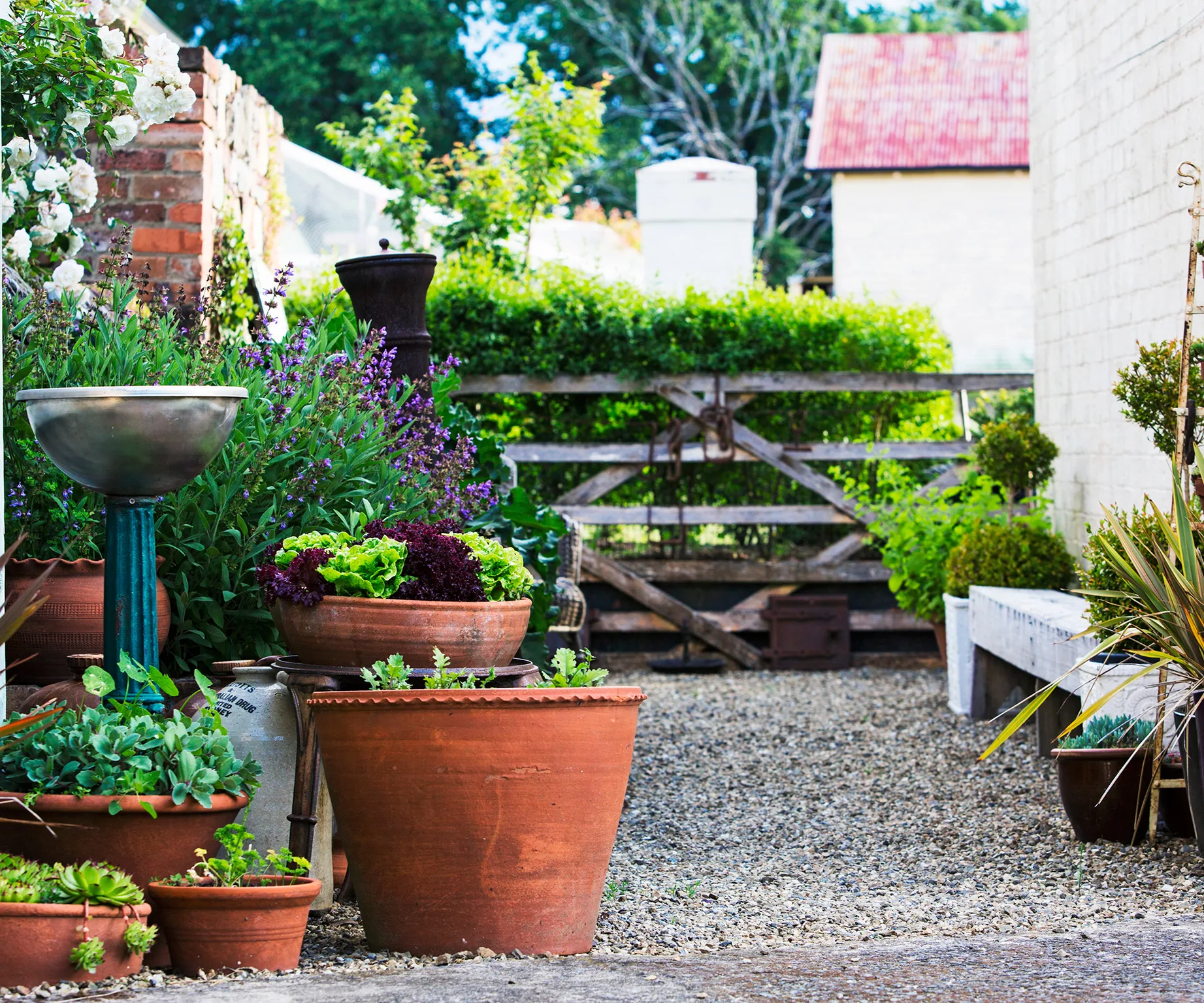Old Is New Again In This Charming Tasmanian Garden