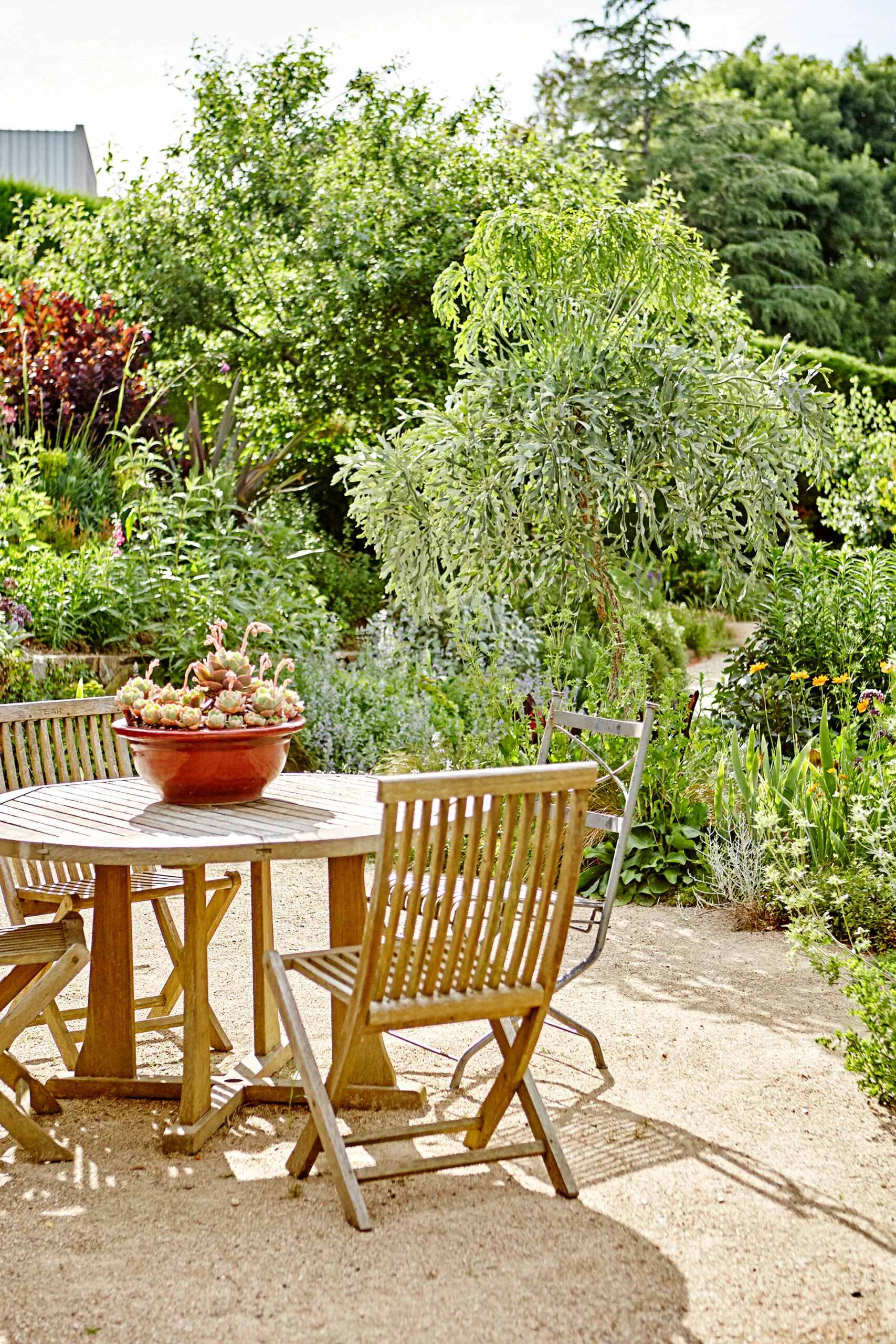 Melbourne acreage transformed into haven of greenery