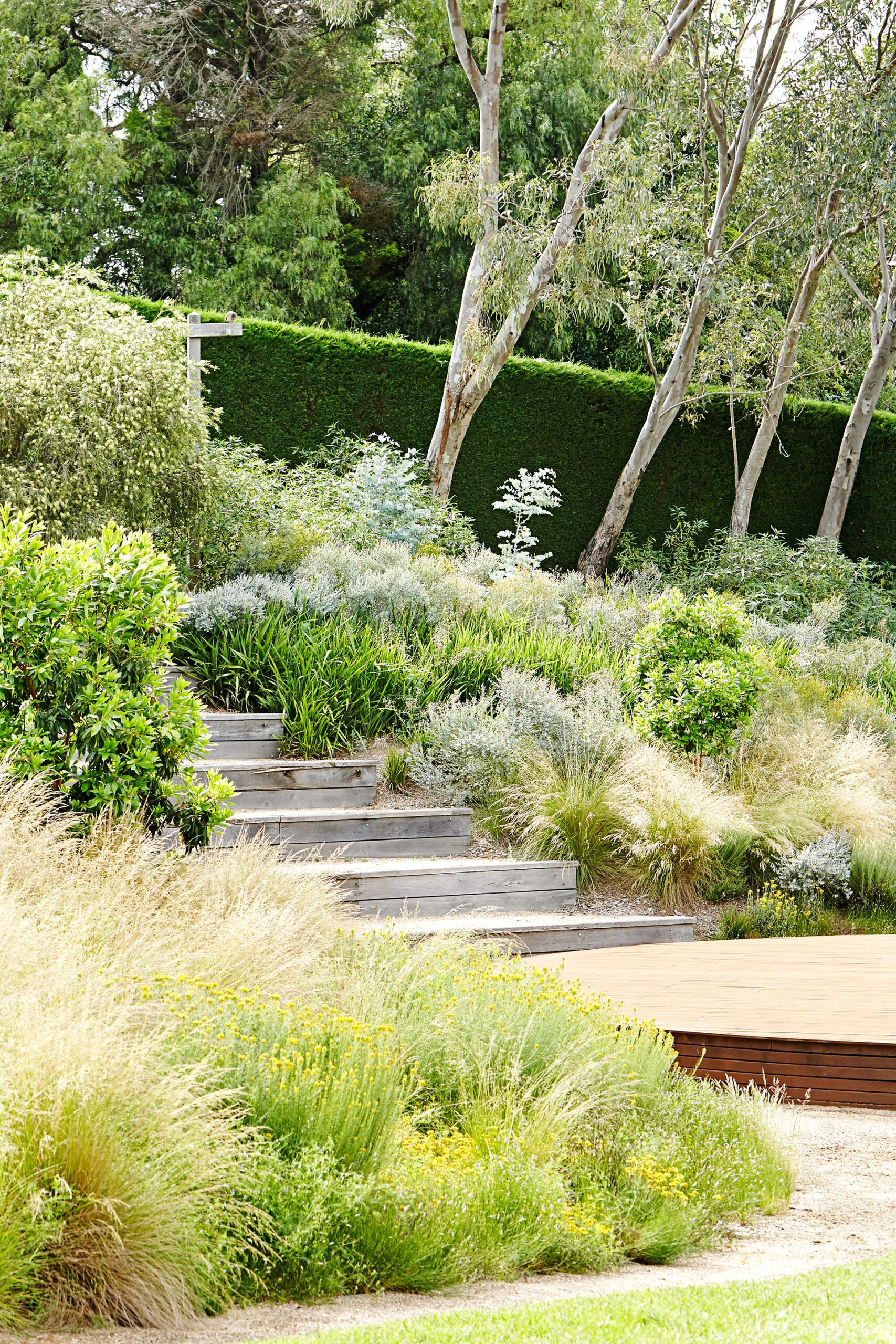 Melbourne acreage transformed into haven of greenery