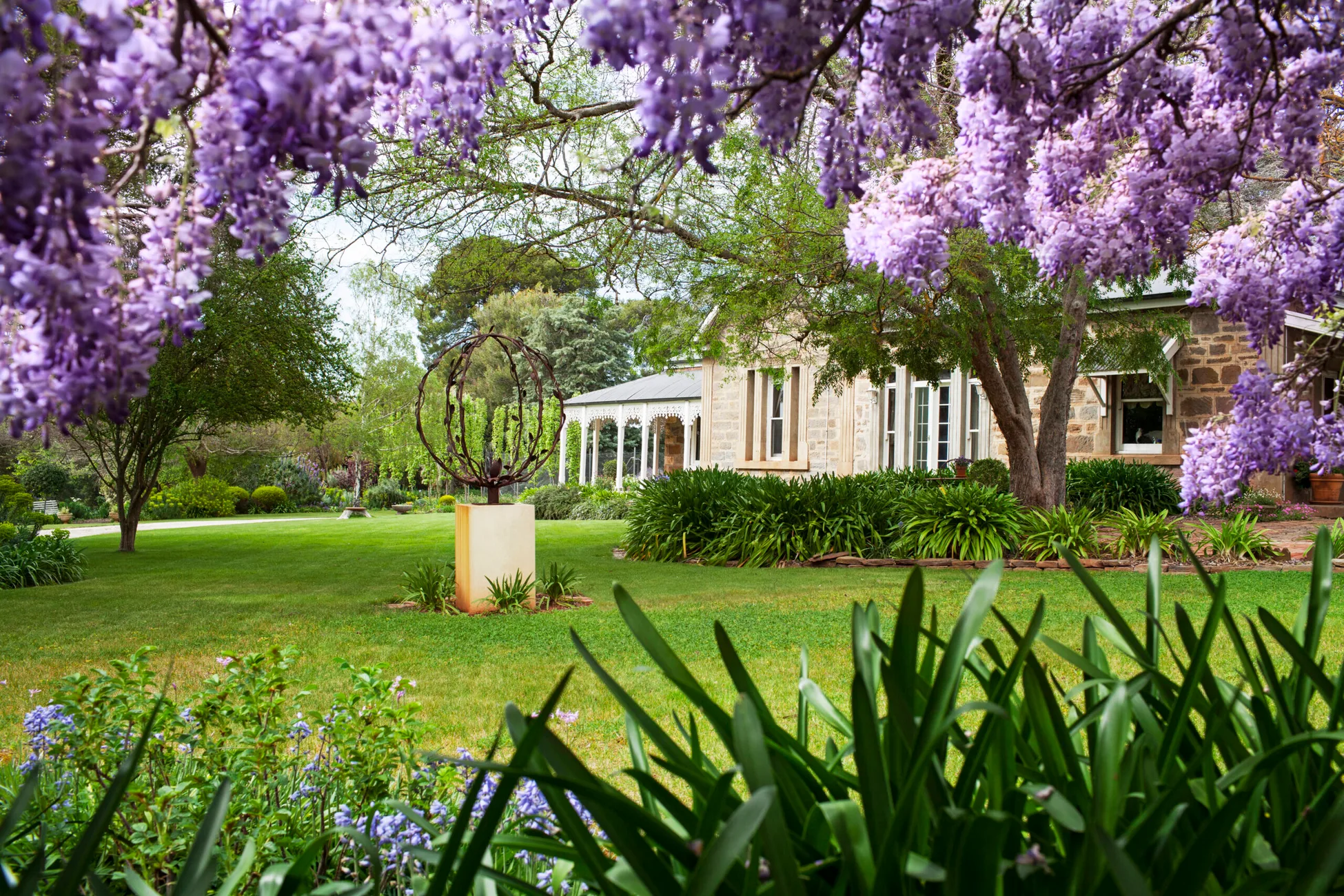 South Australian Garden Bristles With Life