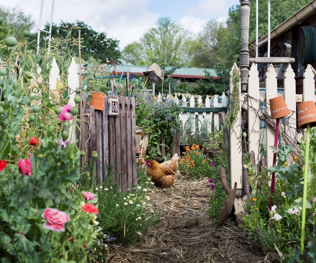 7 Ways To Repurpose Household Items In Your Garden