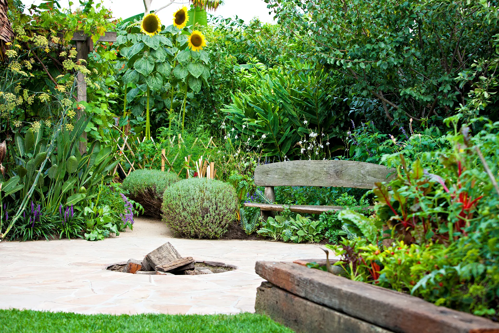 Ripe For The Picking: A Productive Urban Garden