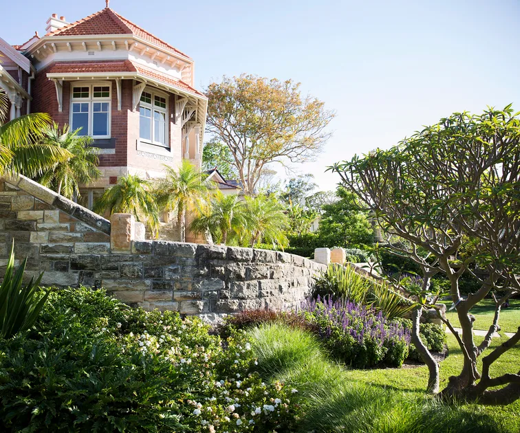 12 expert tips for growing trees