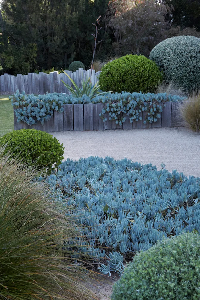 Women In Design: Landscape Designer Fiona Brockhoff
