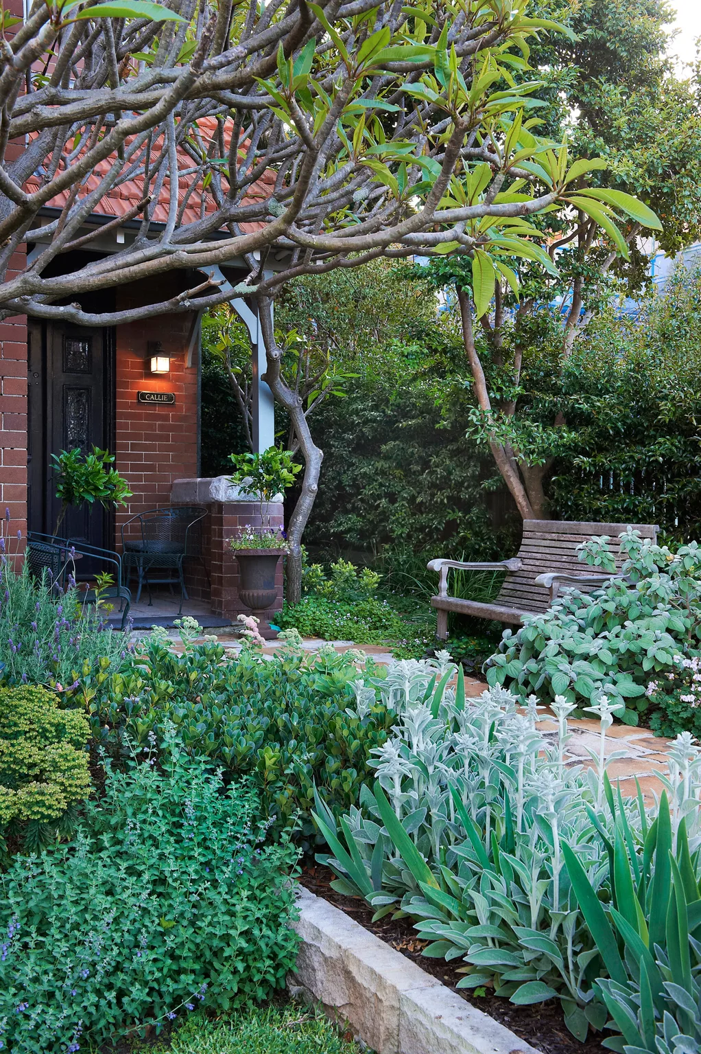 How to create a soft perennial garden