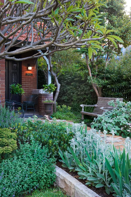 How to create a soft perennial garden