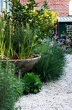 How to create a soft perennial garden