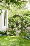 Side Gardens: 9 Inspiring Ideas To Elevate Your Home