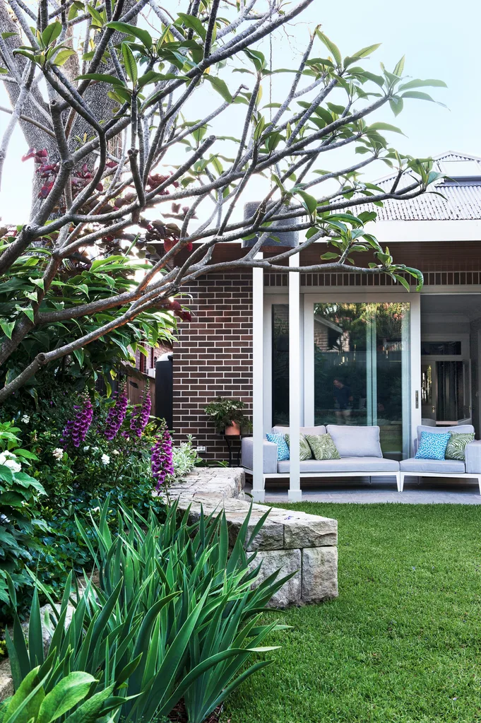 How To Grow Frangipani From A Cutting | Homes To Love