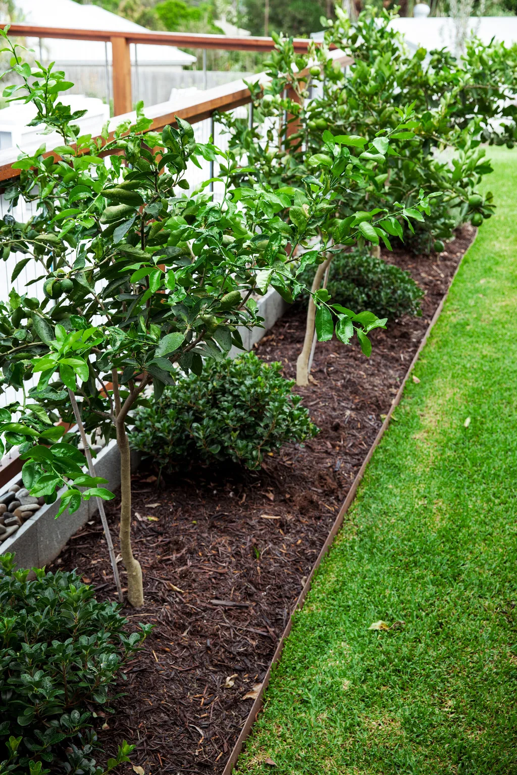 How to make the most of a sloping garden