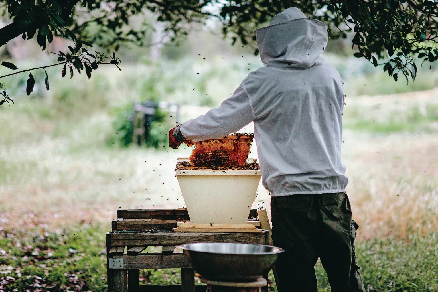 Grown & Gathered: How To Start A Backyard Farm