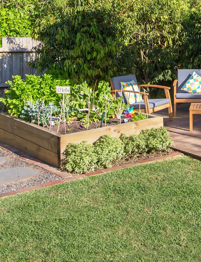 Start a Vegetable Patch: Growing Your Own Produce | Homes To Love