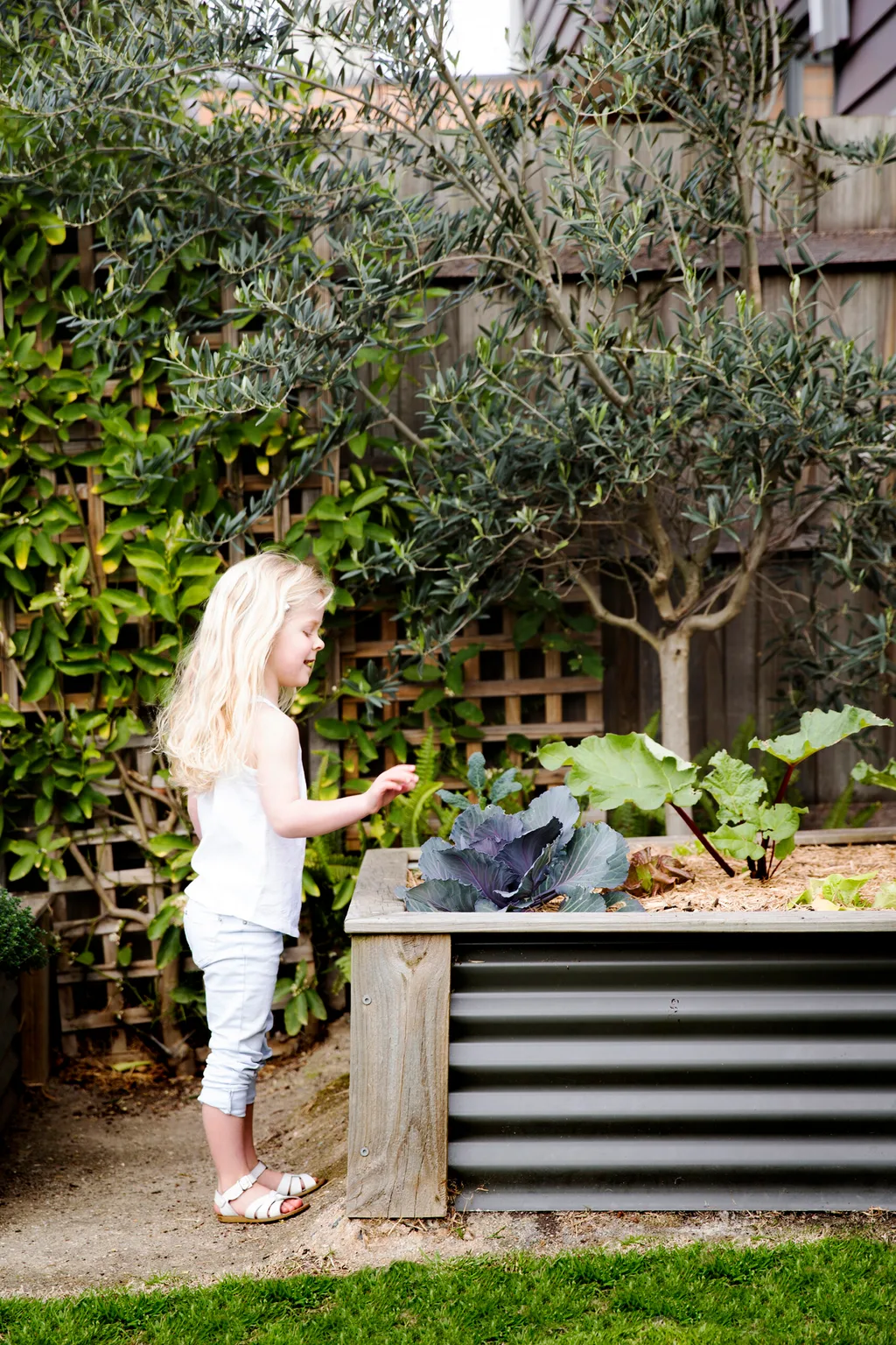Start a Vegetable Patch: Growing Your Own Produce | Homes To Love