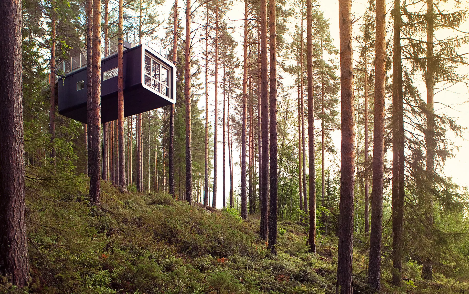 7 Breathtaking Treehouse Hotels