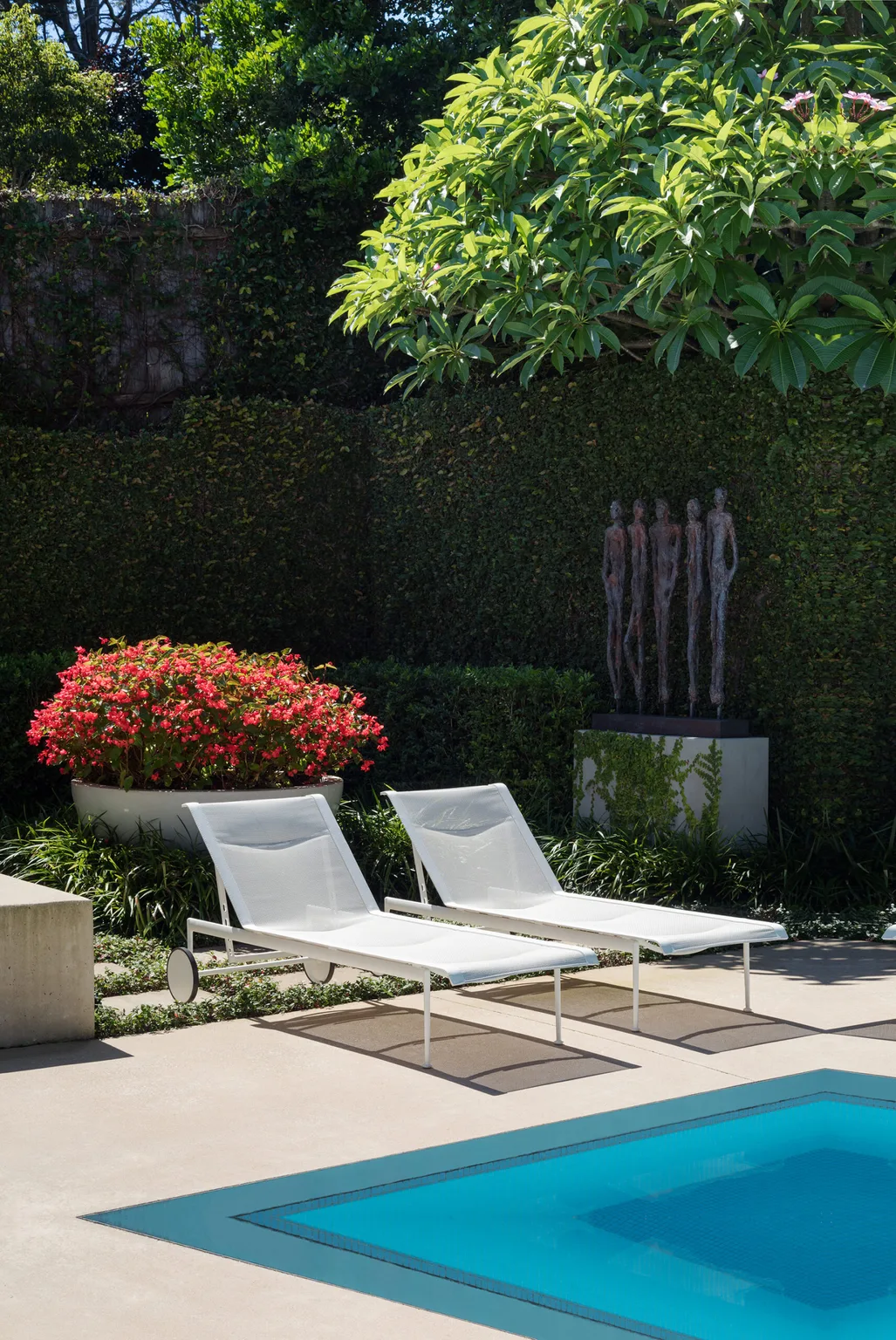 Striking Garden By Richard Unsworth Of Garden Life