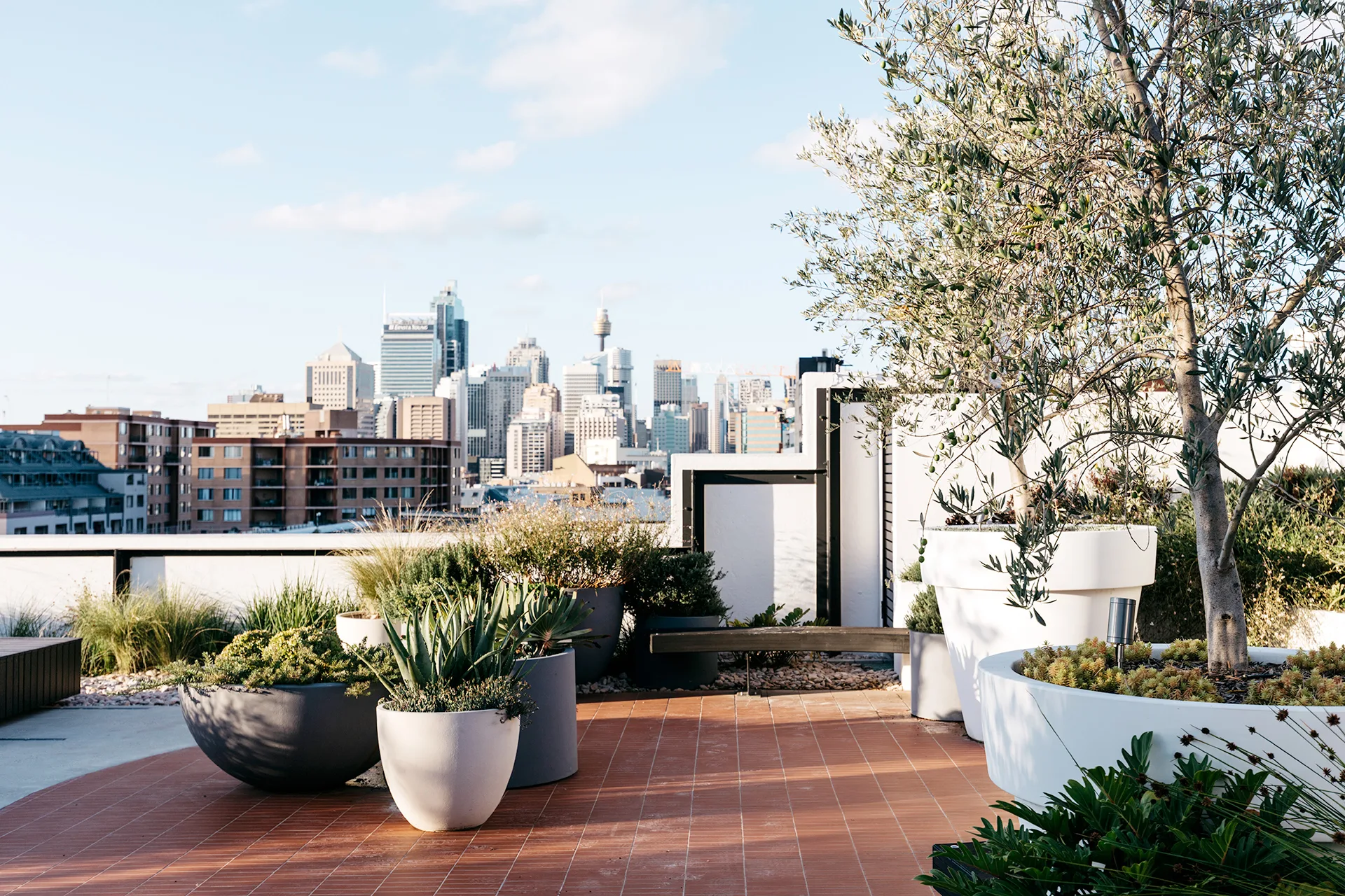 A Sky-High Sydney Apartment With A Lush Rooftop Garden