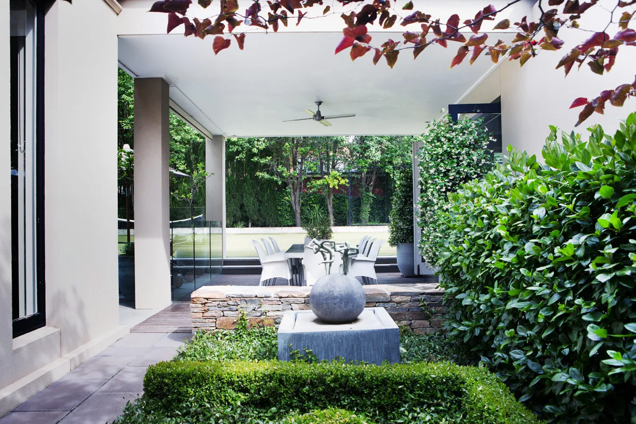 Front garden hedge plants for privacy