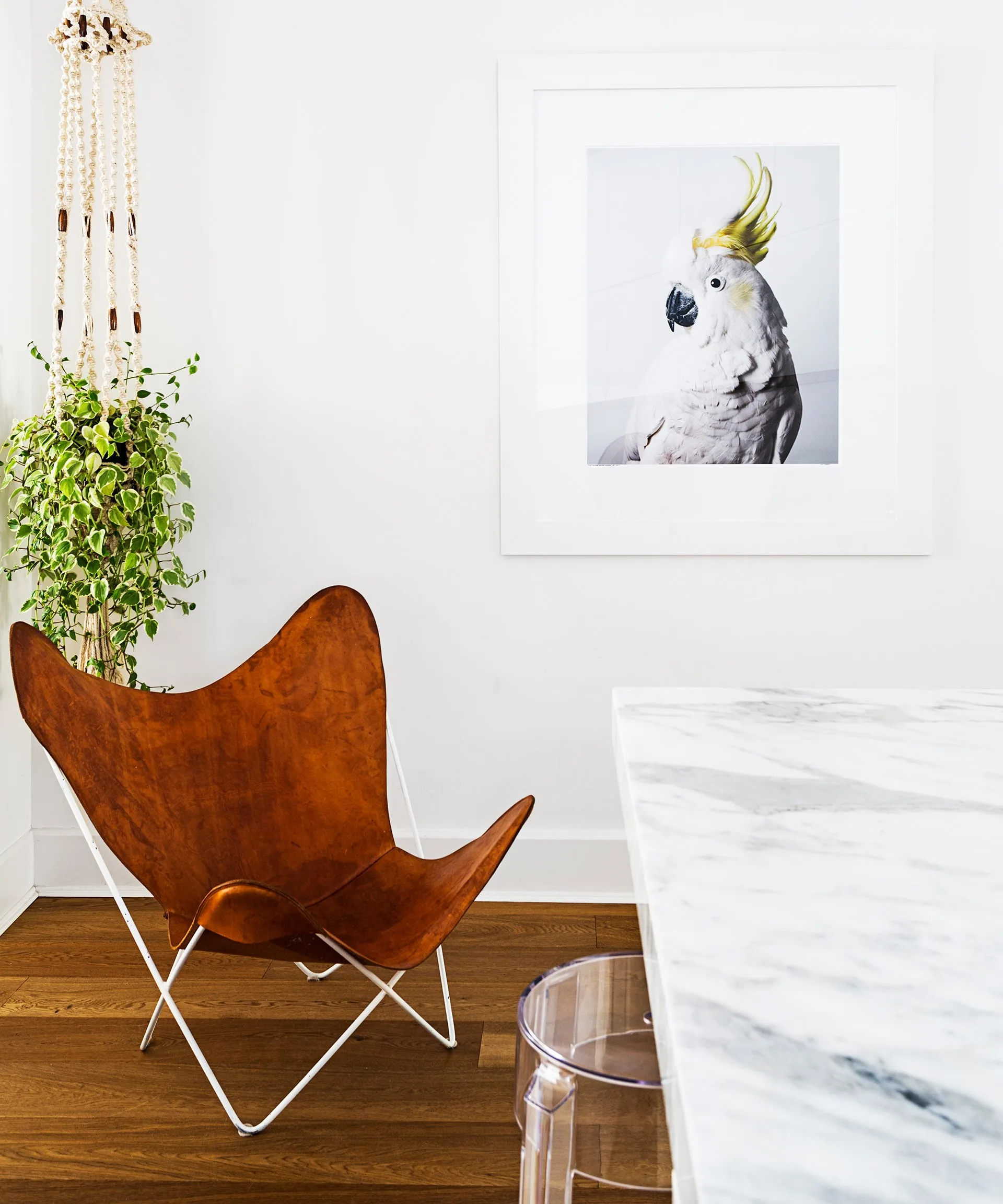The best paint colours to complement indoor plants