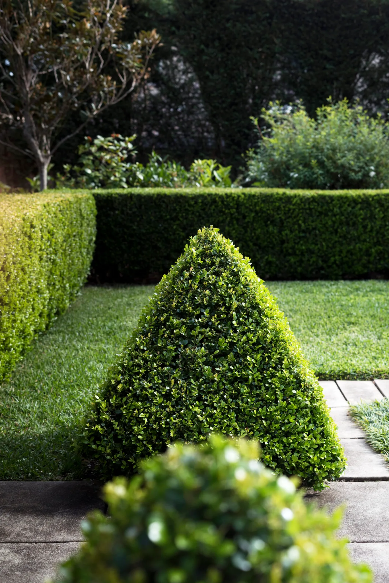 A rocky slope becomes manicured garden