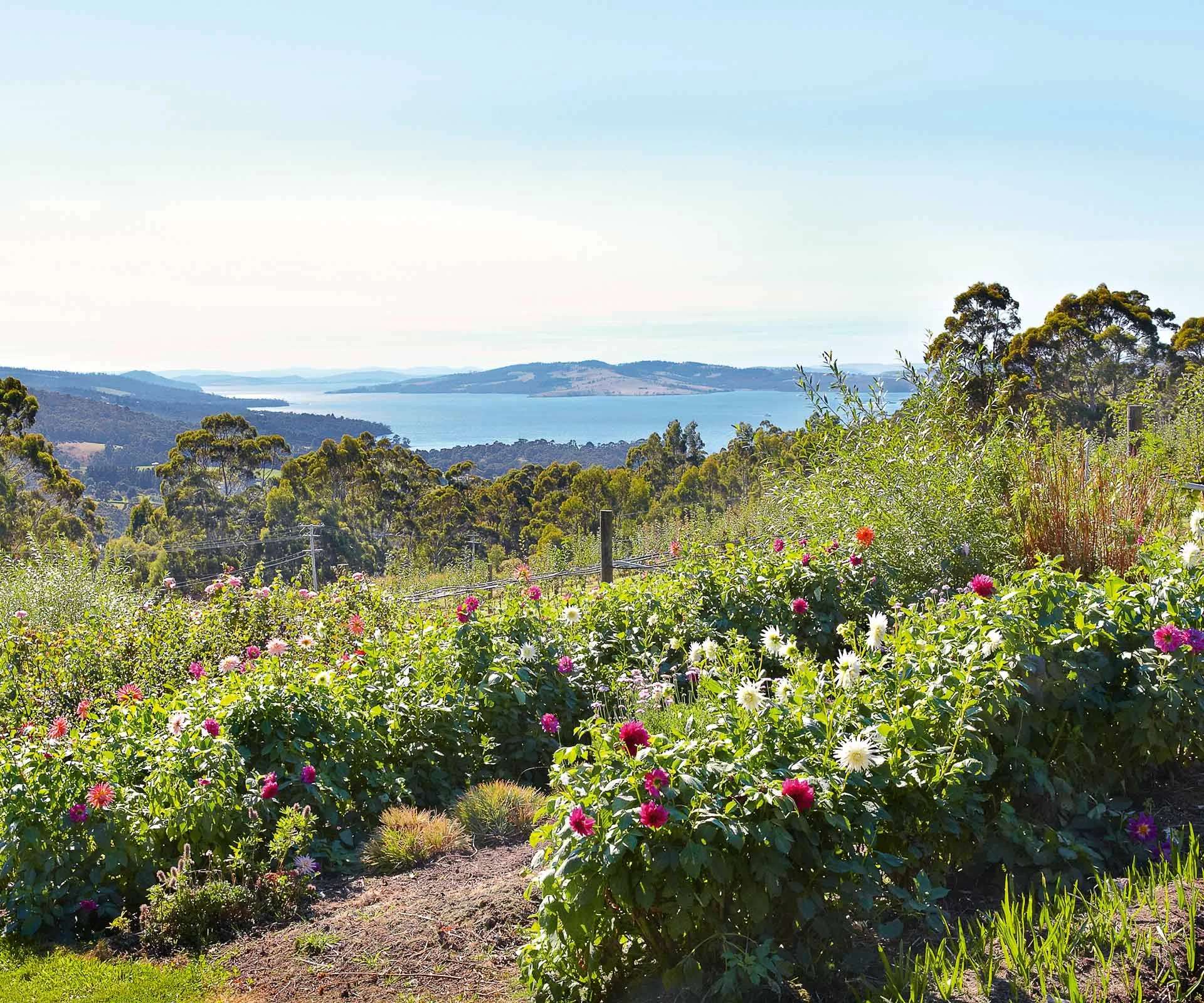 Woodbridge, Tasmania: a fruit and flower paradise | Homes To Love