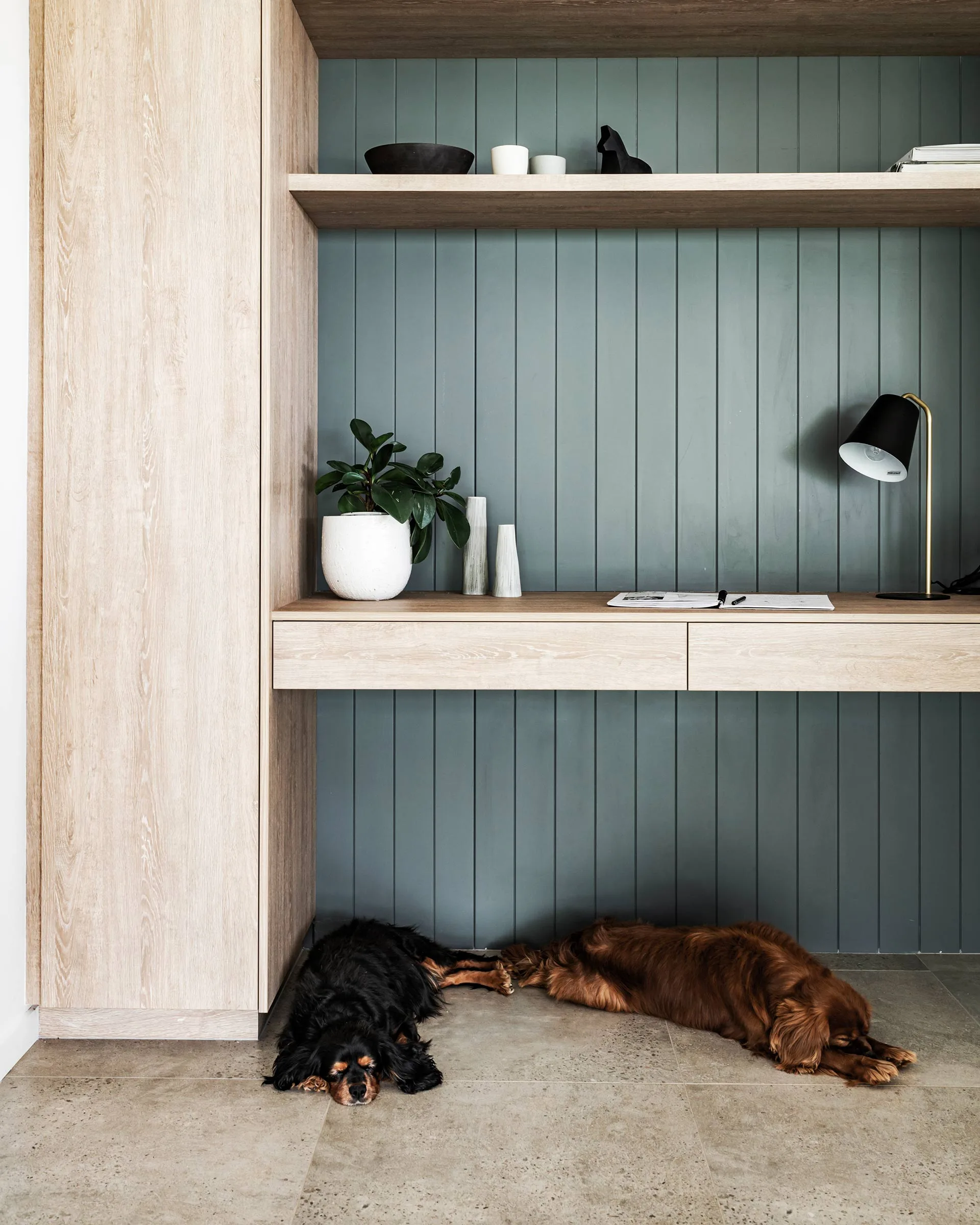 Stylish Broken Hill homestead gets a renovation