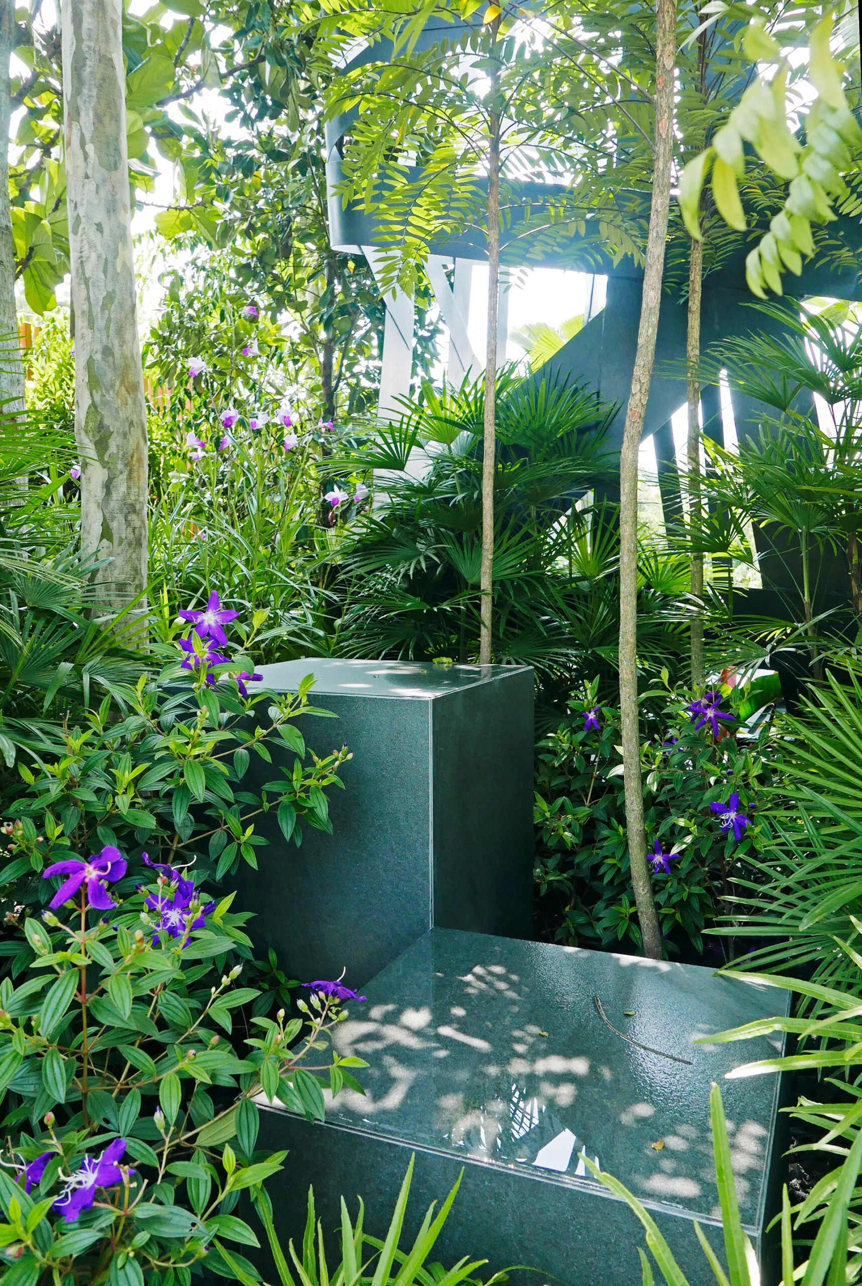 The best tropical plants for Australian gardens