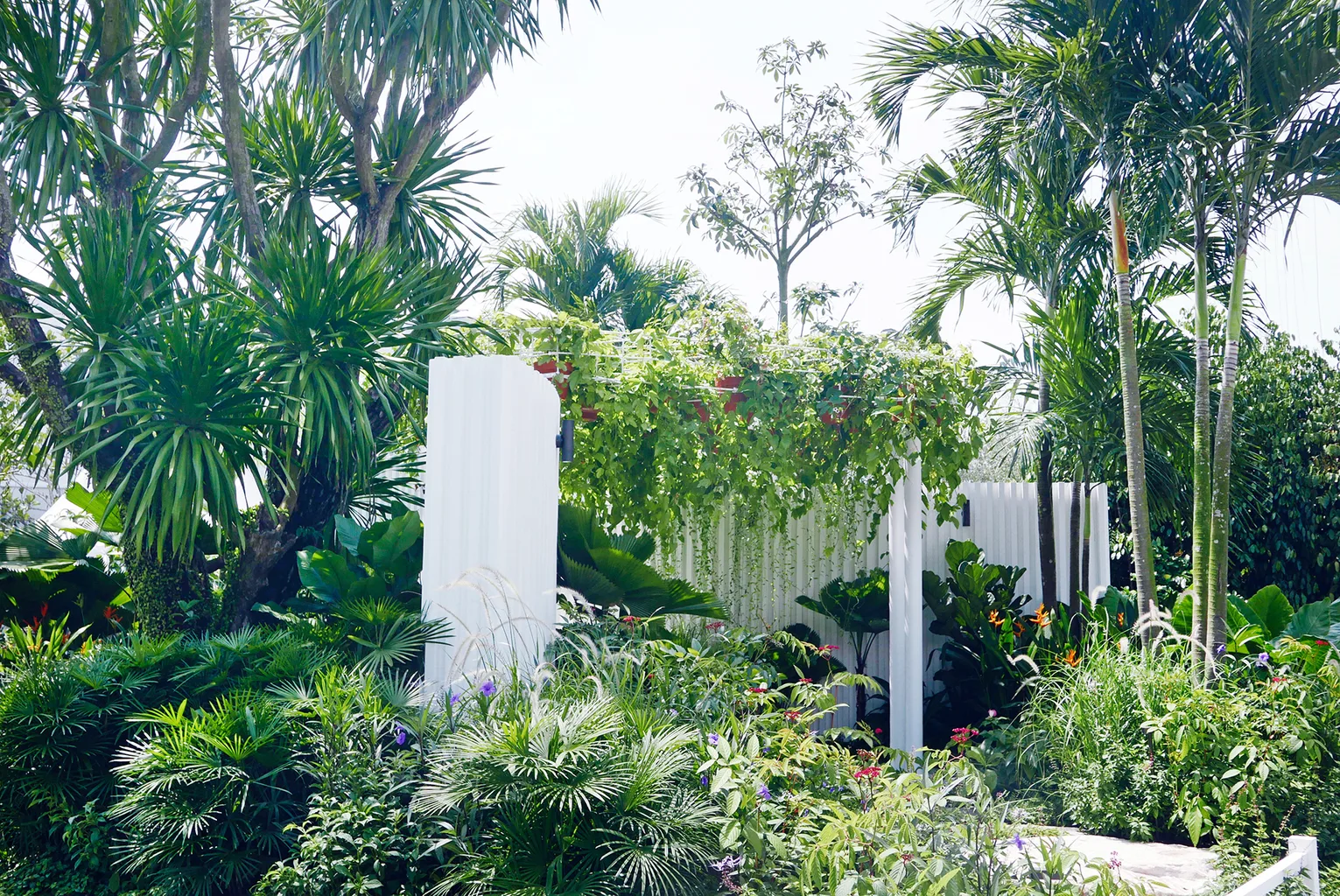 The best tropical plants for Australian gardens