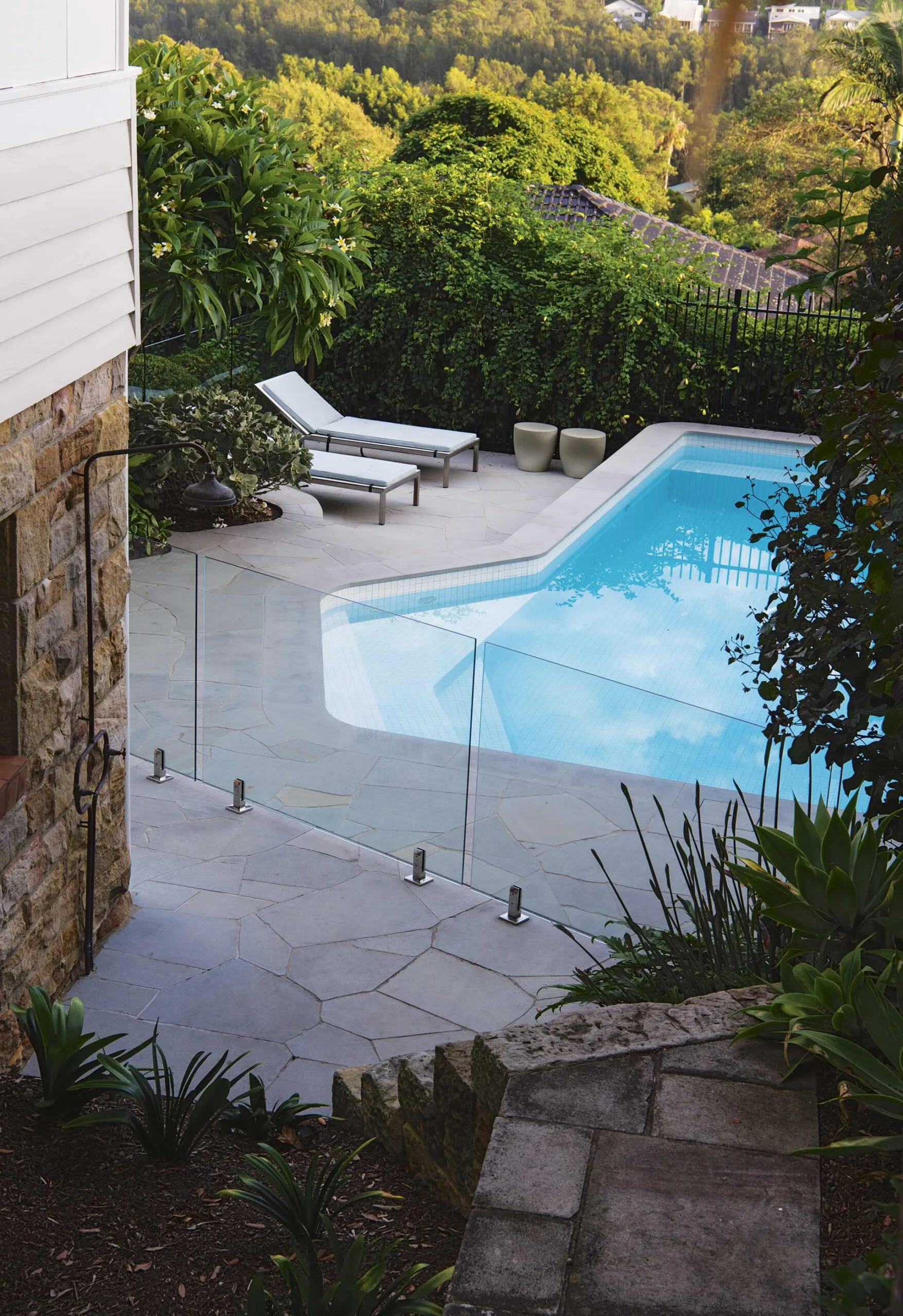 Subtropical plants transform this contemporary garden