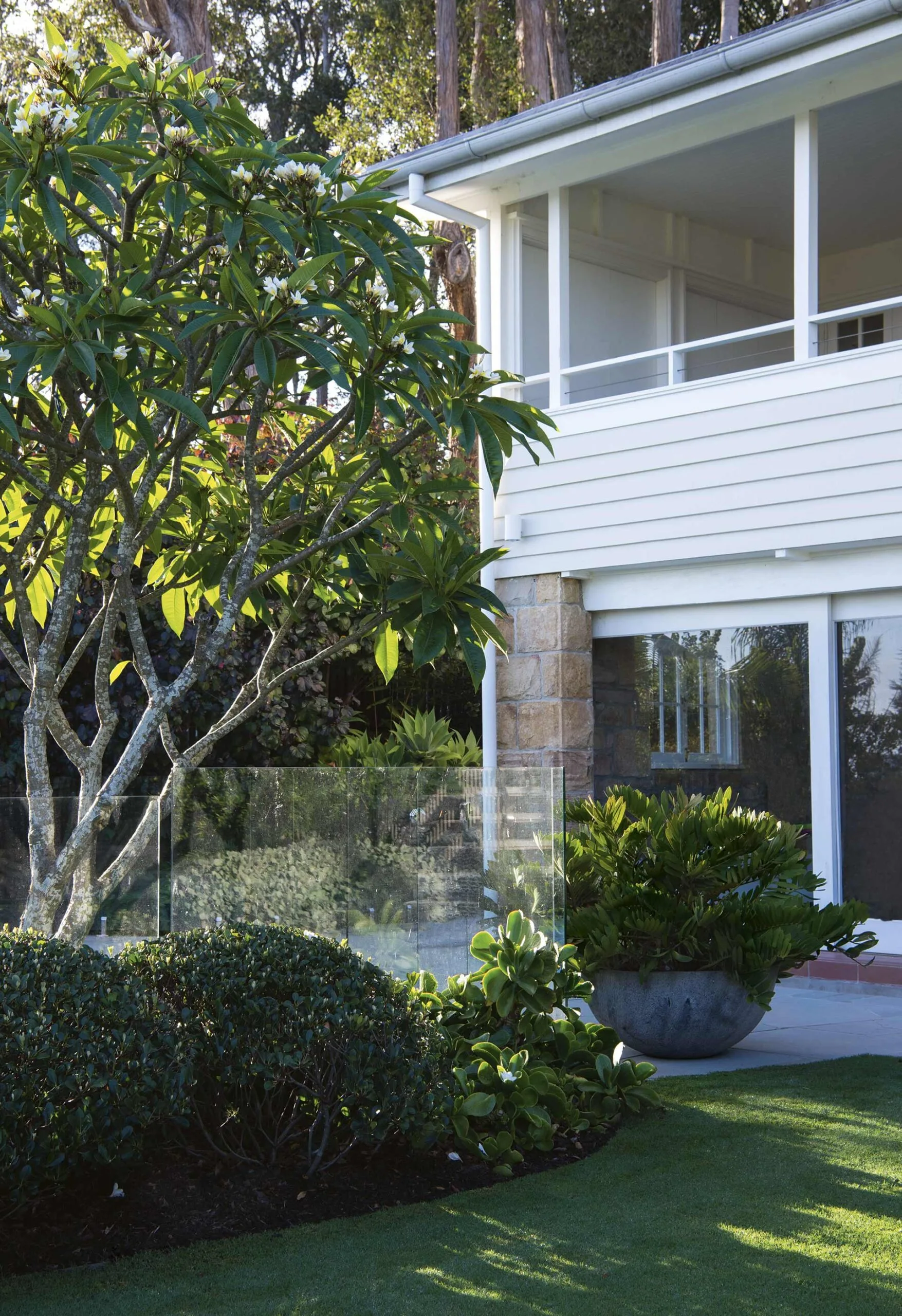 Subtropical plants transform this contemporary garden