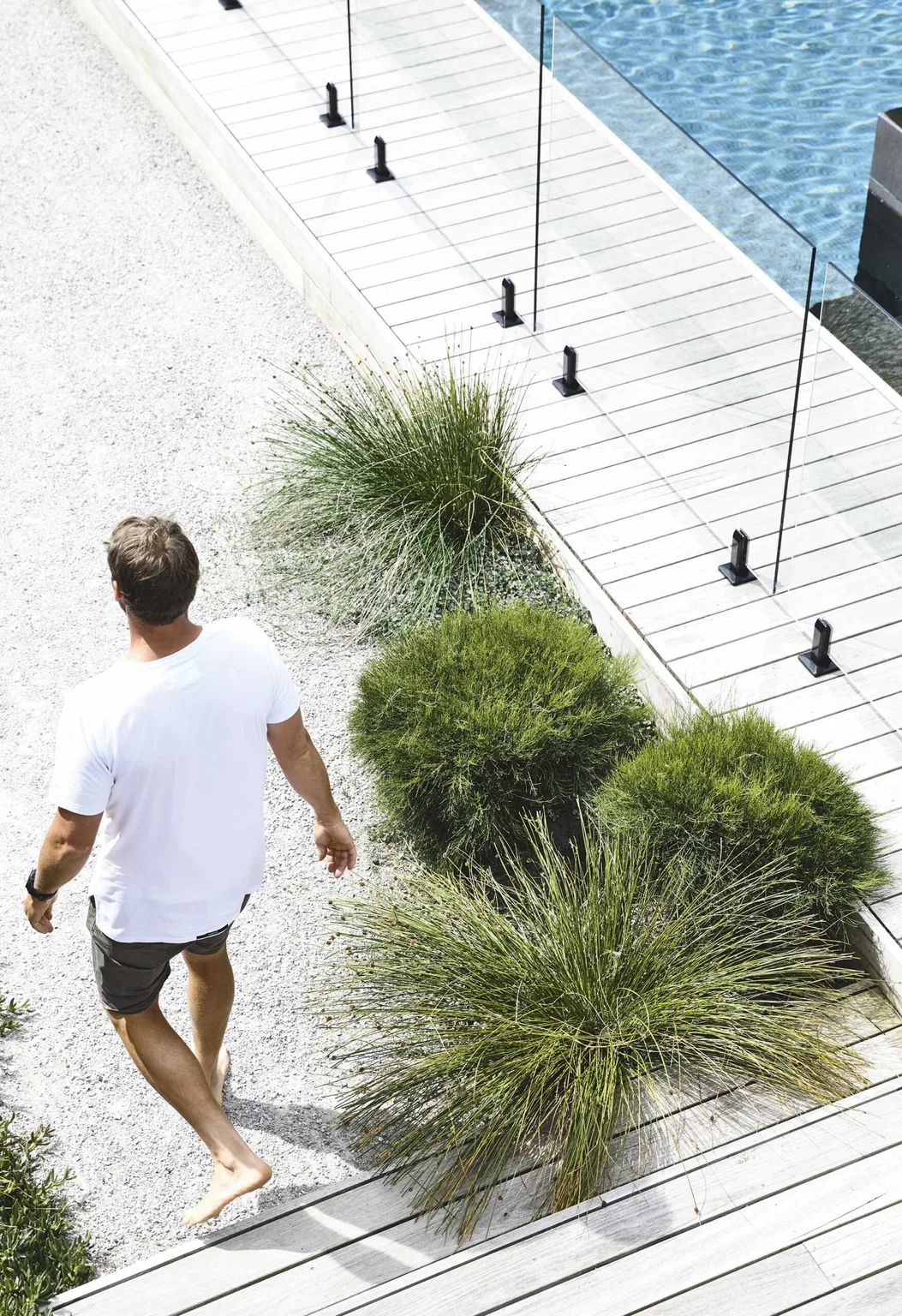 Native Indigenous plants thrive in this coastal garden
