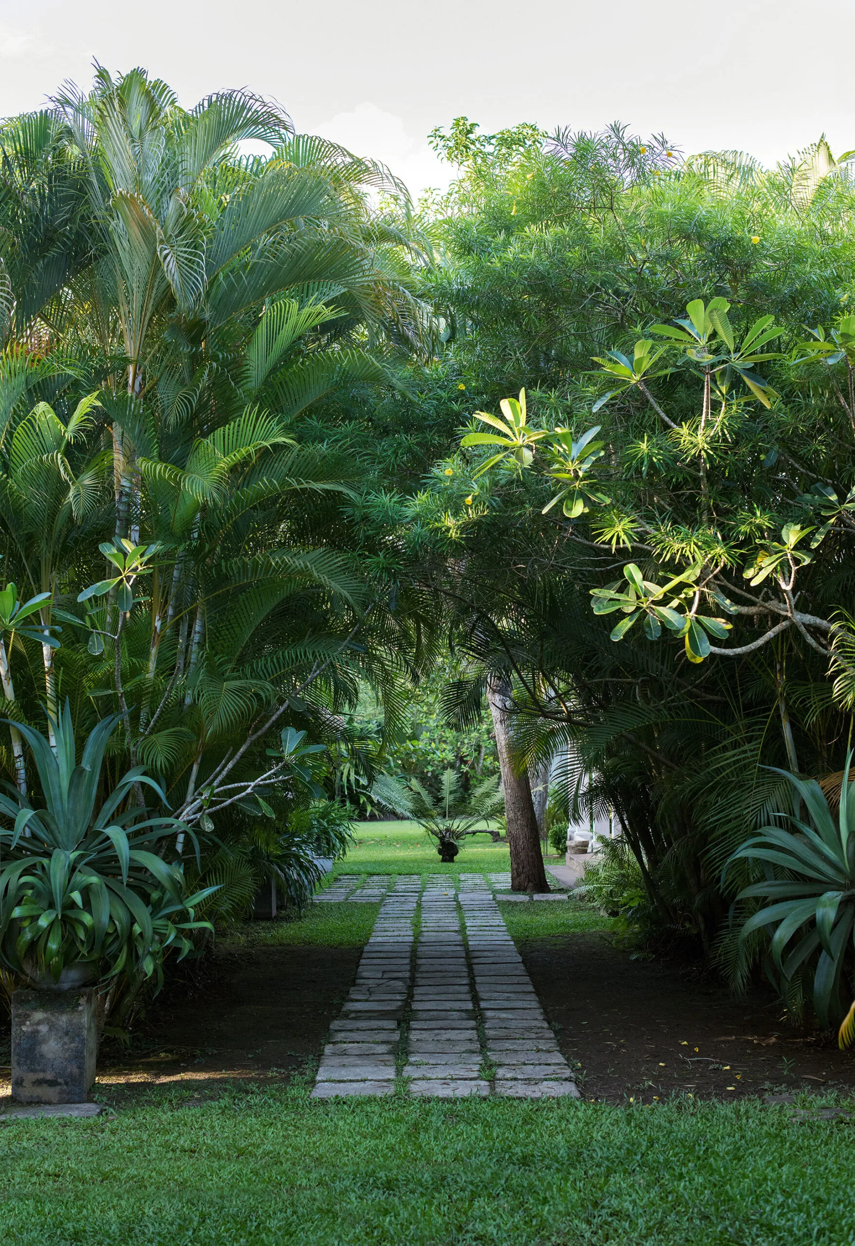Tropical Garden Design: How To Create A Lush Tropical Garden | Homes To ...