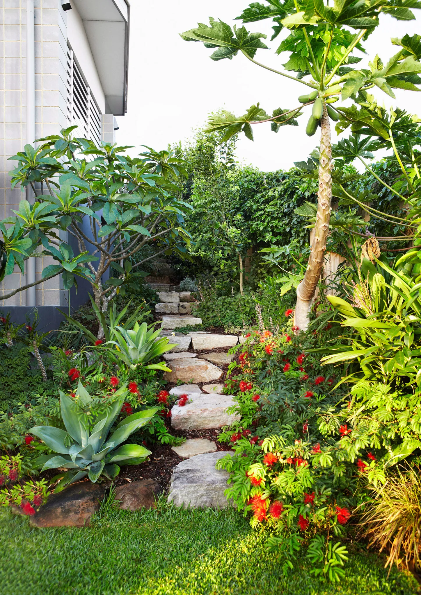 Tropical Garden Design: How To Create A Lush Tropical Garden | Homes To ...