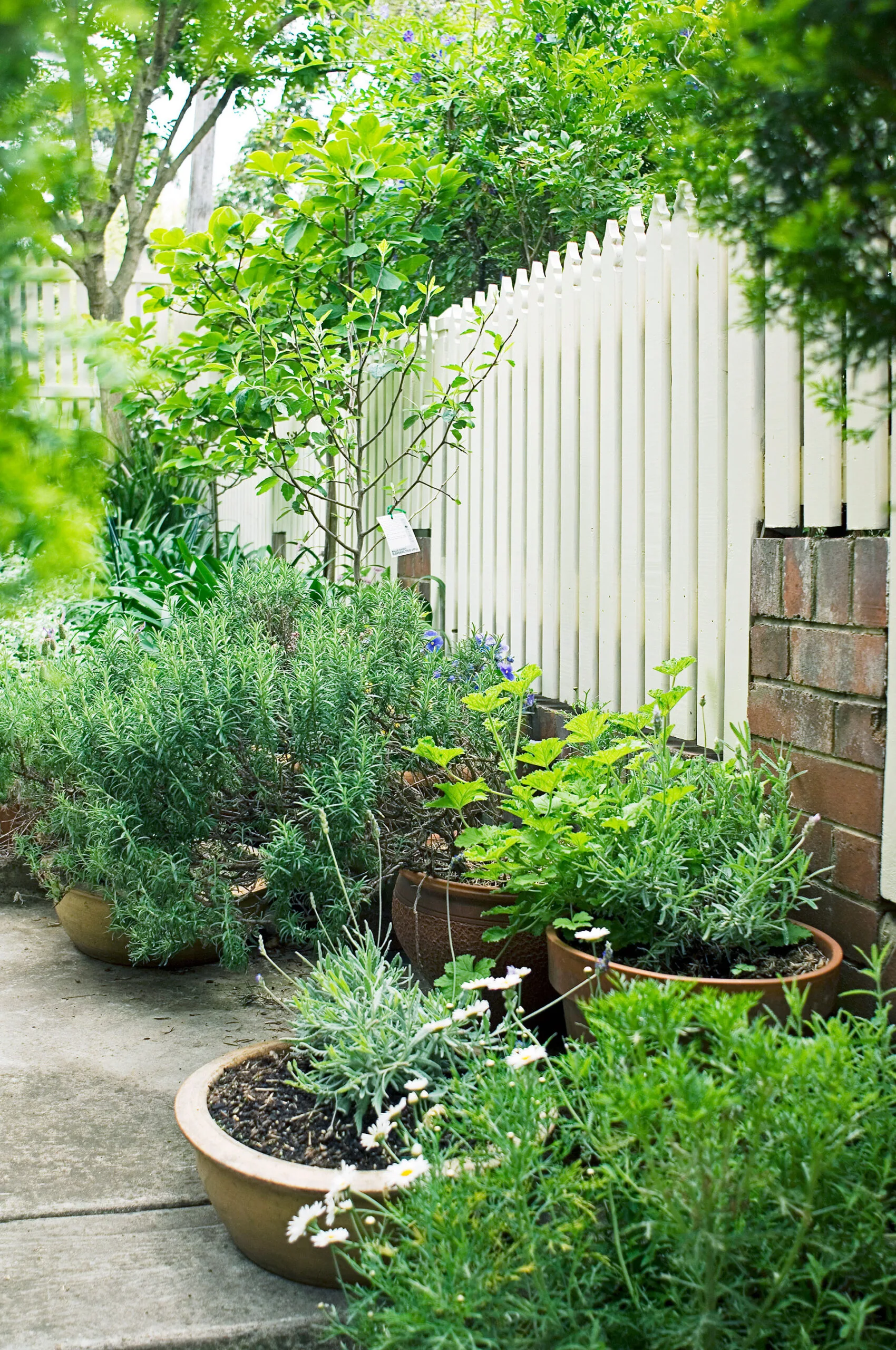 Tropical Garden Design: How To Create A Lush Tropical Garden | Homes To ...