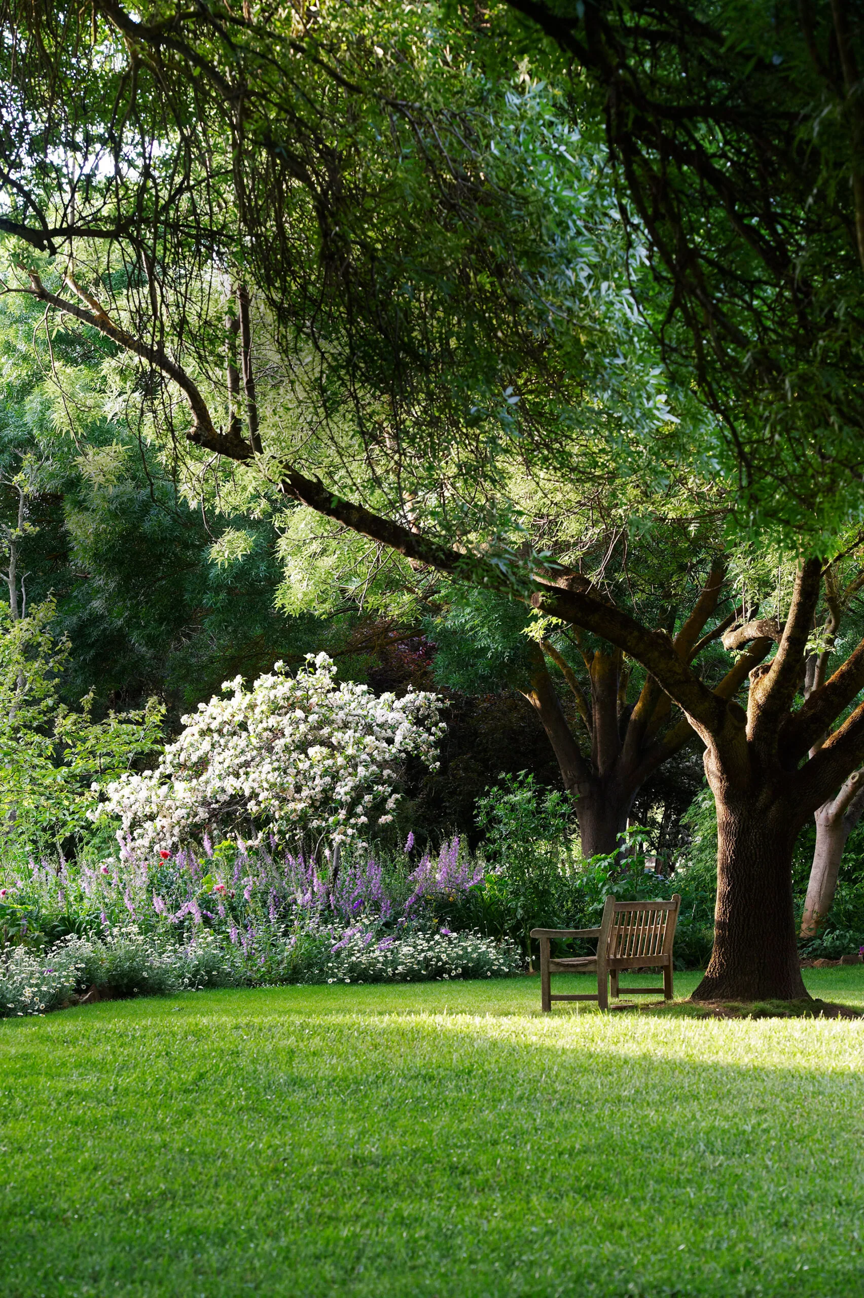 How The Right Trees Can Add Value To Your Property