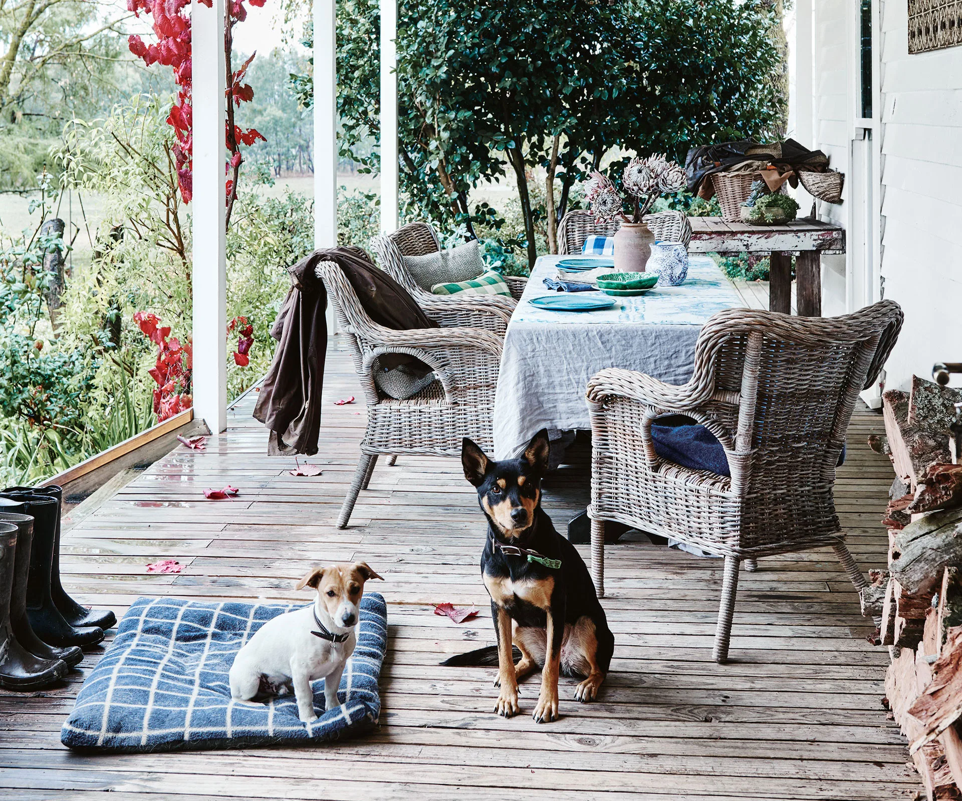 A white timber farmhouse with eclectic style