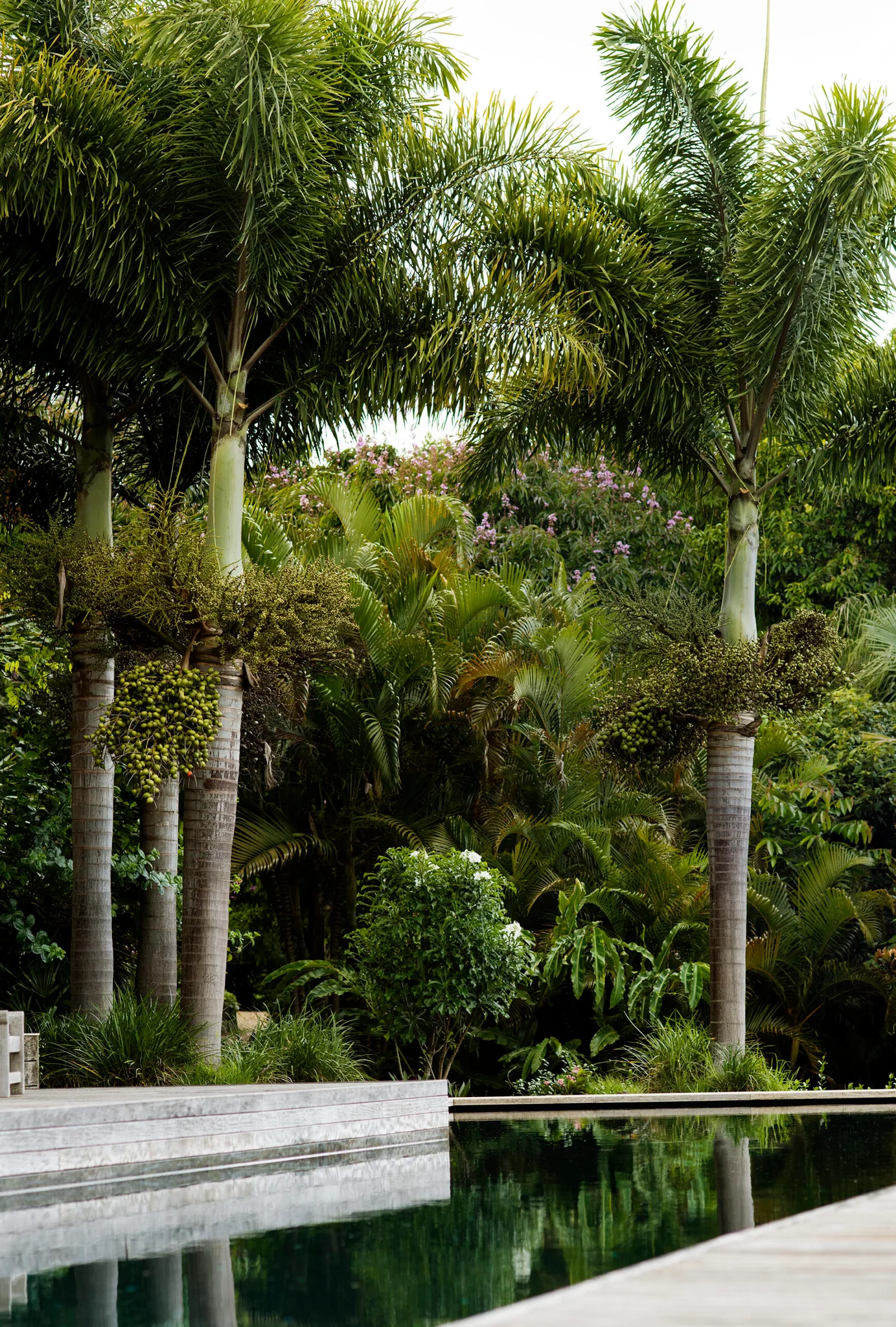 Belle Australian landscape designers book - on sale now!