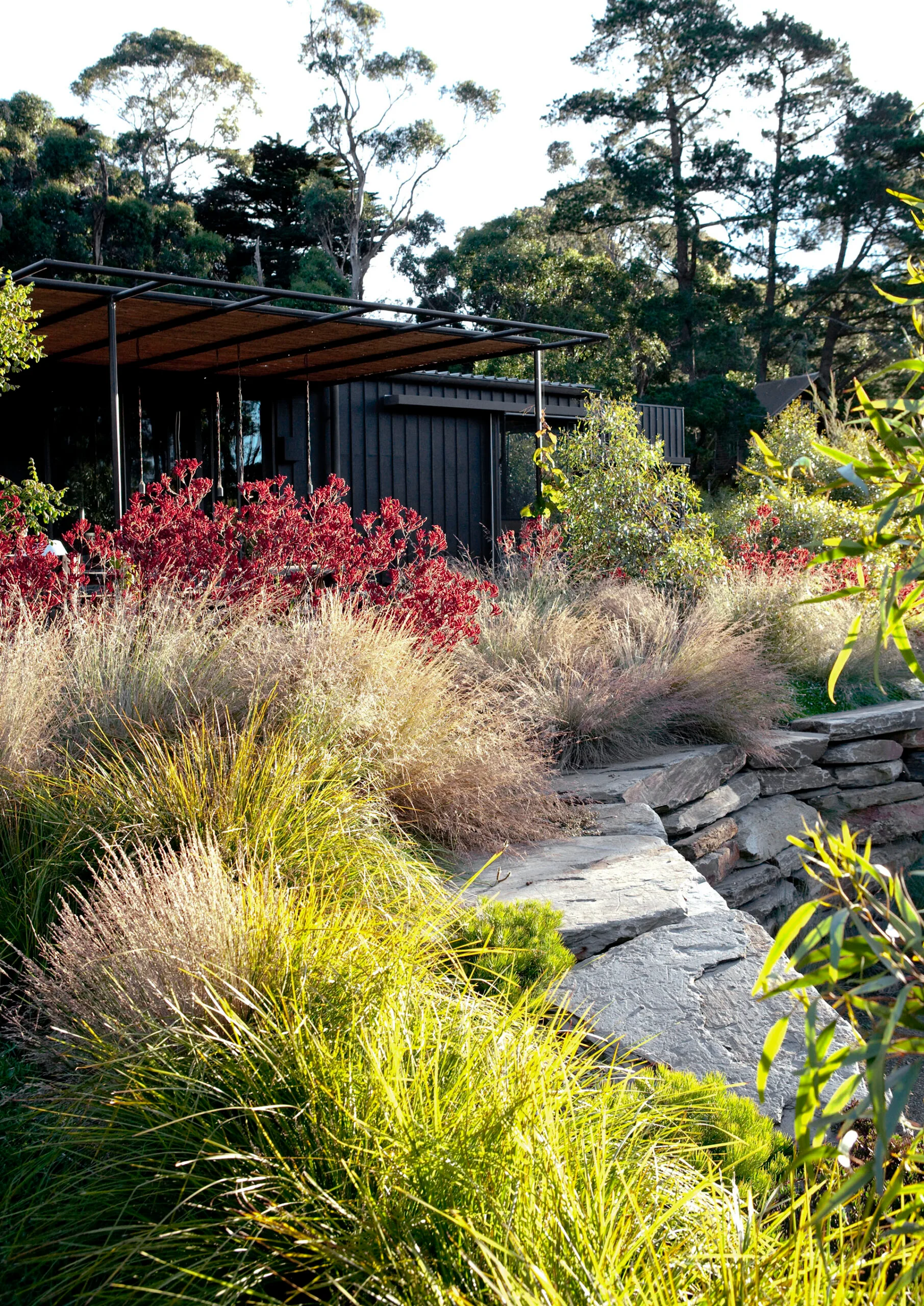 Native Garden Ideas: 15 Inspiring Australian Backyard Designs | Homes ...