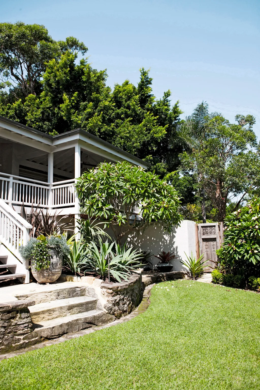 Frangipani Rust: What It Is And How To Treat It