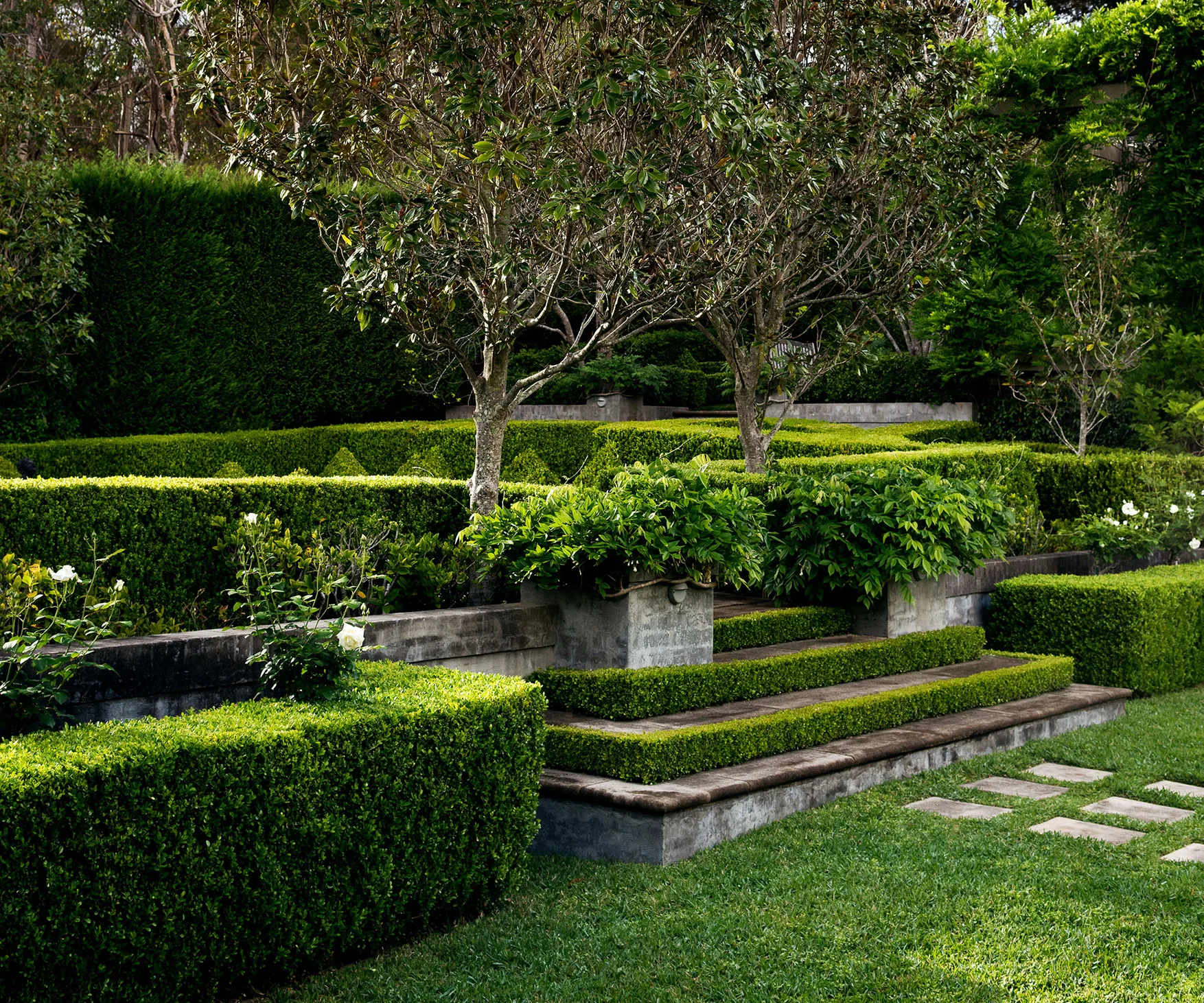 French style garden: plant guide, design tips and more