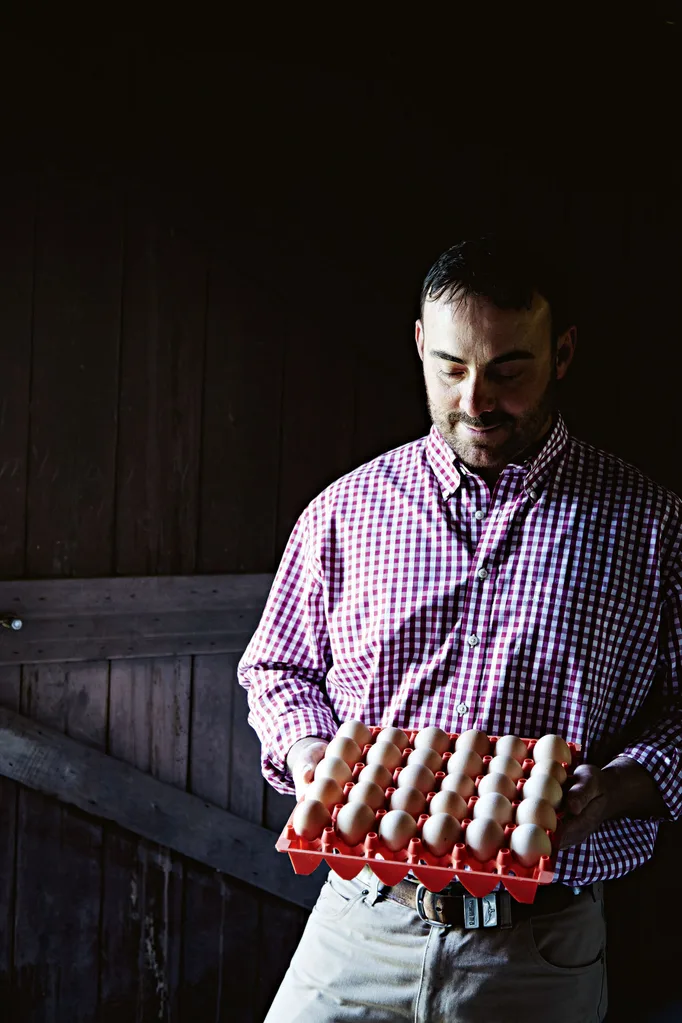 Inside a family-run free range egg farm near Tamworth, NSW