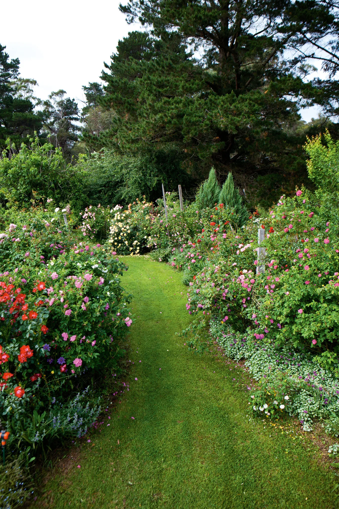 Rose Garden Inspiration: 10 Romantic Landscapes To Inspire